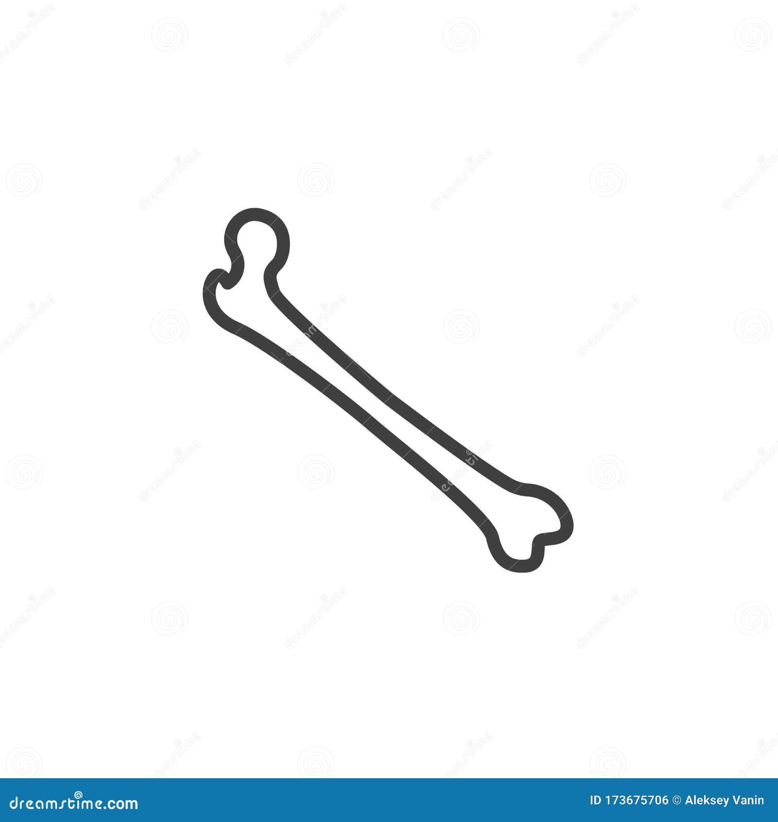 Human bone line icon stock vector. Illustration of orthopedic - 173675706