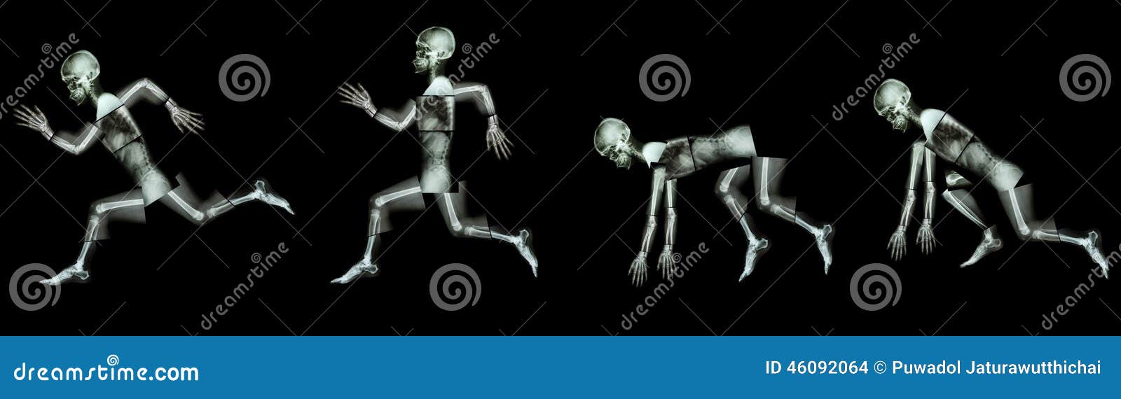 Human bone is running stock photo. Image of collection - 46092064