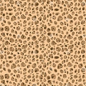 Human Bone Texture 03 a stock vector. Illustration of healthy - 71803946