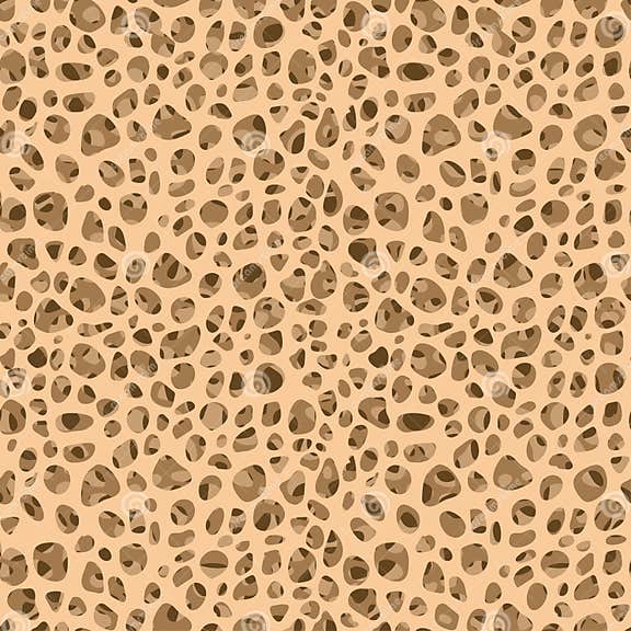 Human Bone Texture 03 a stock vector. Illustration of healthy - 71803946