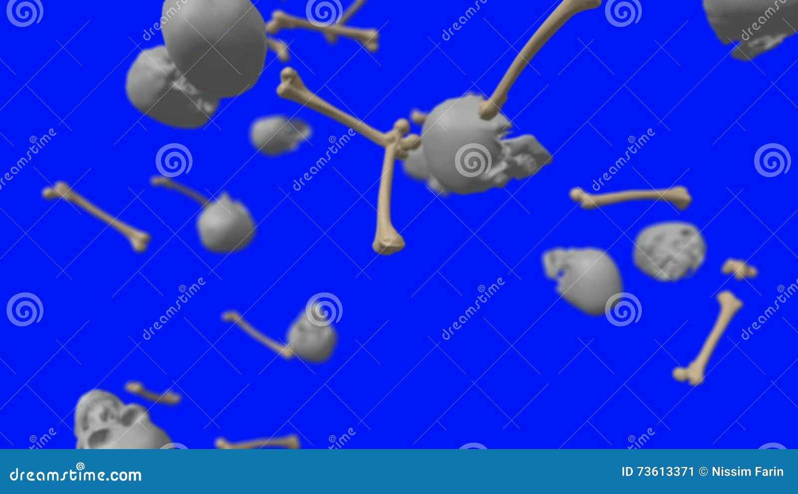 Human Bones Falling in Slow Motion on a Green Screen Background Stock ...