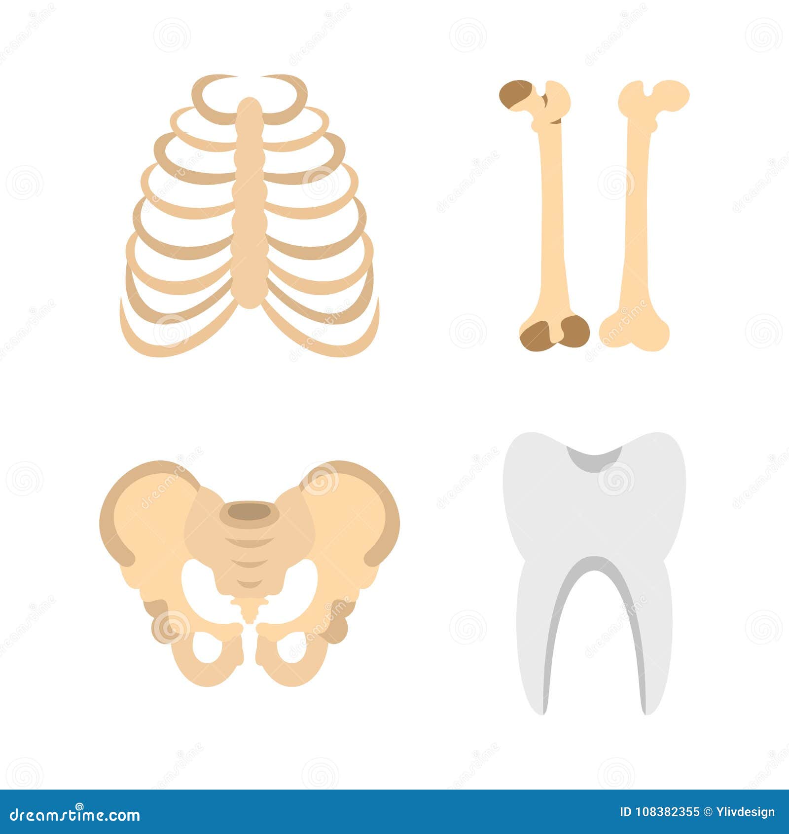 Human Bones Icon Set, Flat Style Stock Vector - Illustration of joint ...