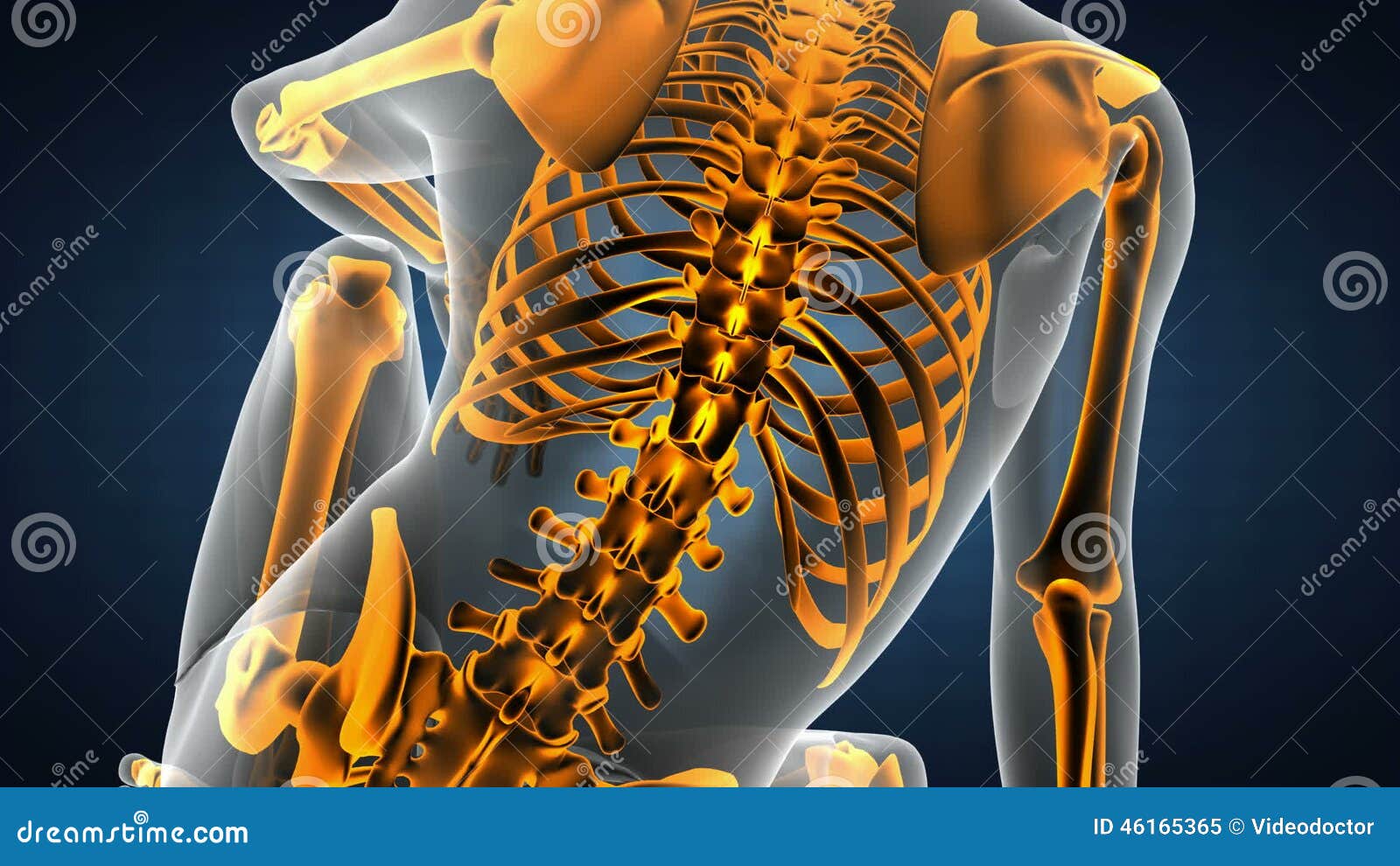 Human Bones Radiographic Scan. Medical Footage Stock Video - Video of ...