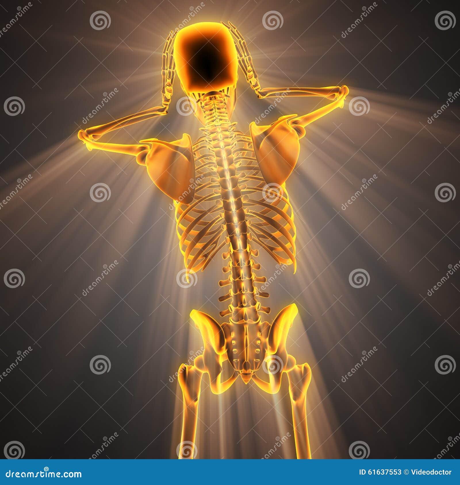 Human Bones Radiography Scan Image Stock Image - Image of education ...