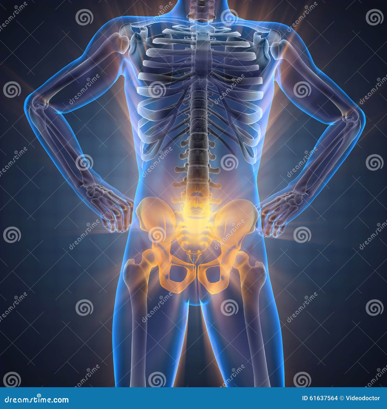 Human Bones Radiography Scan Image Stock Photo - Image of bones ...