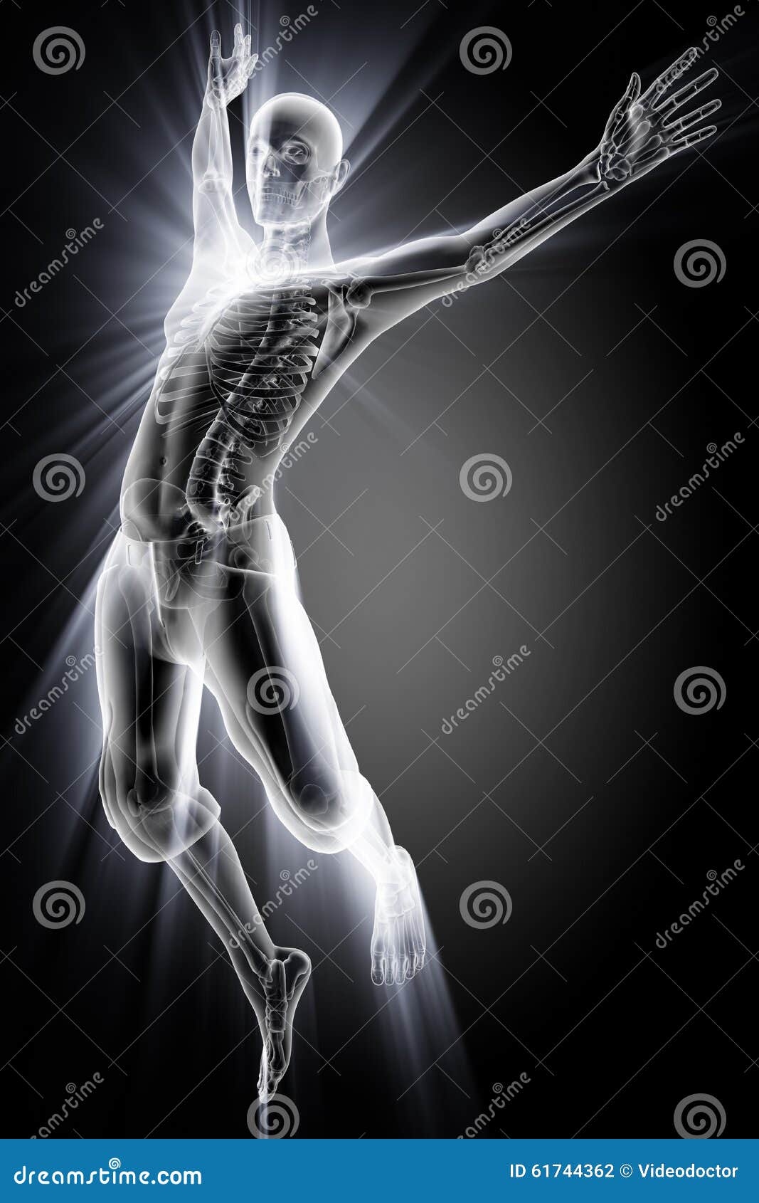 Human Bones Radiography Scan Image Stock Photo - Image of medical ...