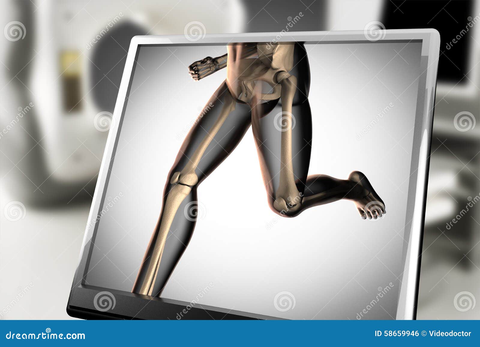 Human Bones Skeleton Silhouette Vector. Anatomy Of Human Body ...