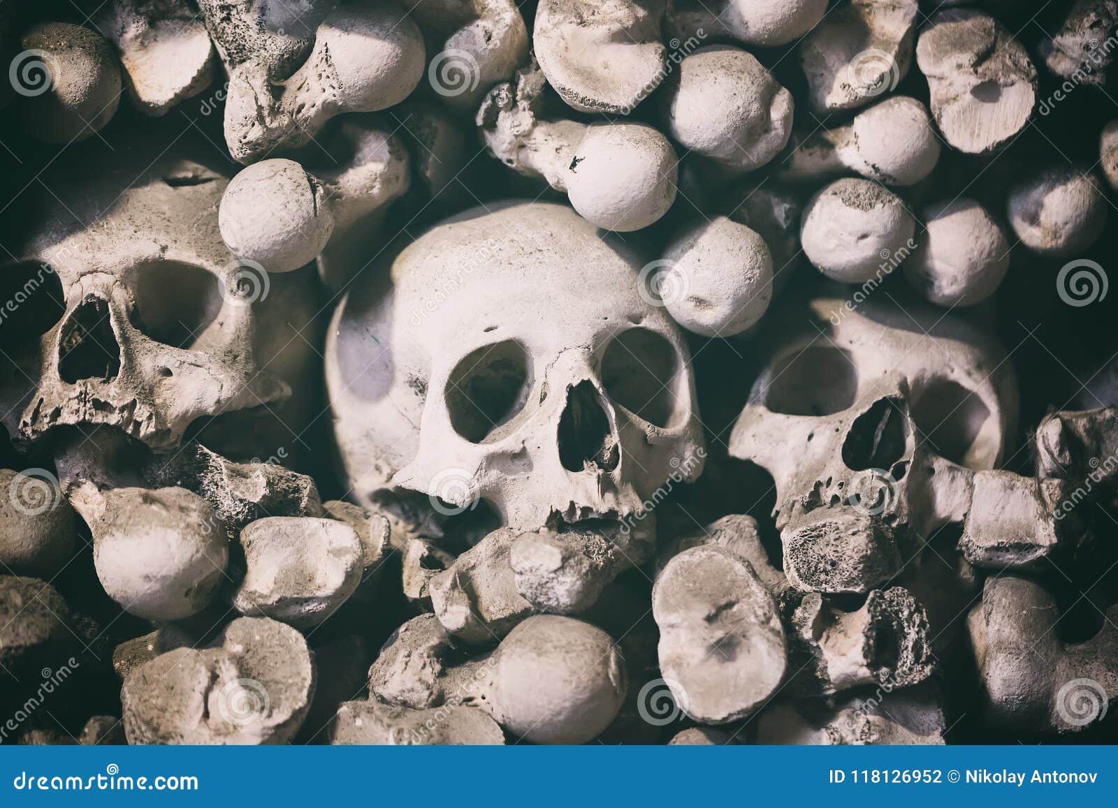 Human Bones and Skulls As a Background Stock Photo - Image of bone ...
