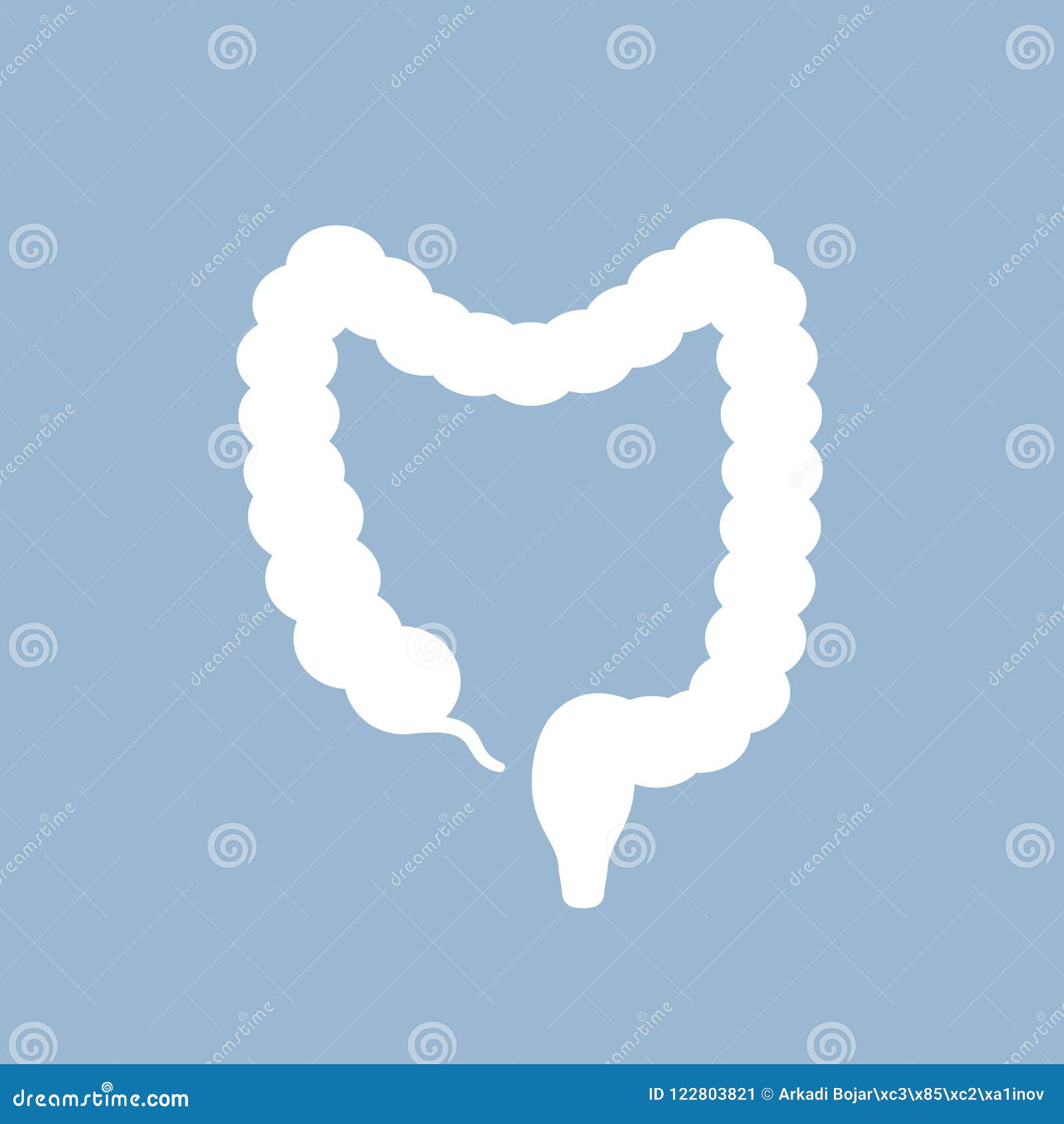 Human bowels vector icon stock vector. Illustration of abdomen - 122803821