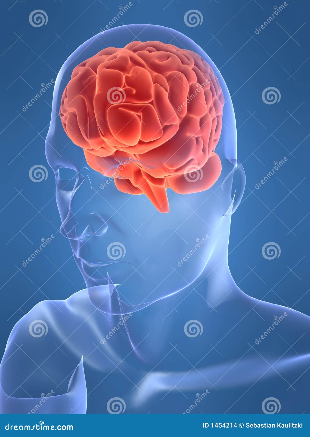 Human brain stock illustration. Illustration of metal - 1454214