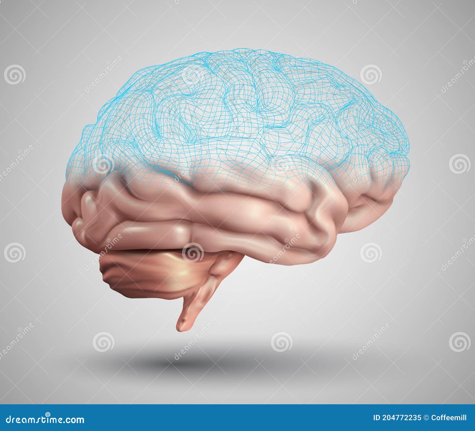 Human Brain and Abstract Design Elements. Mesh Vector Stock Vector ...