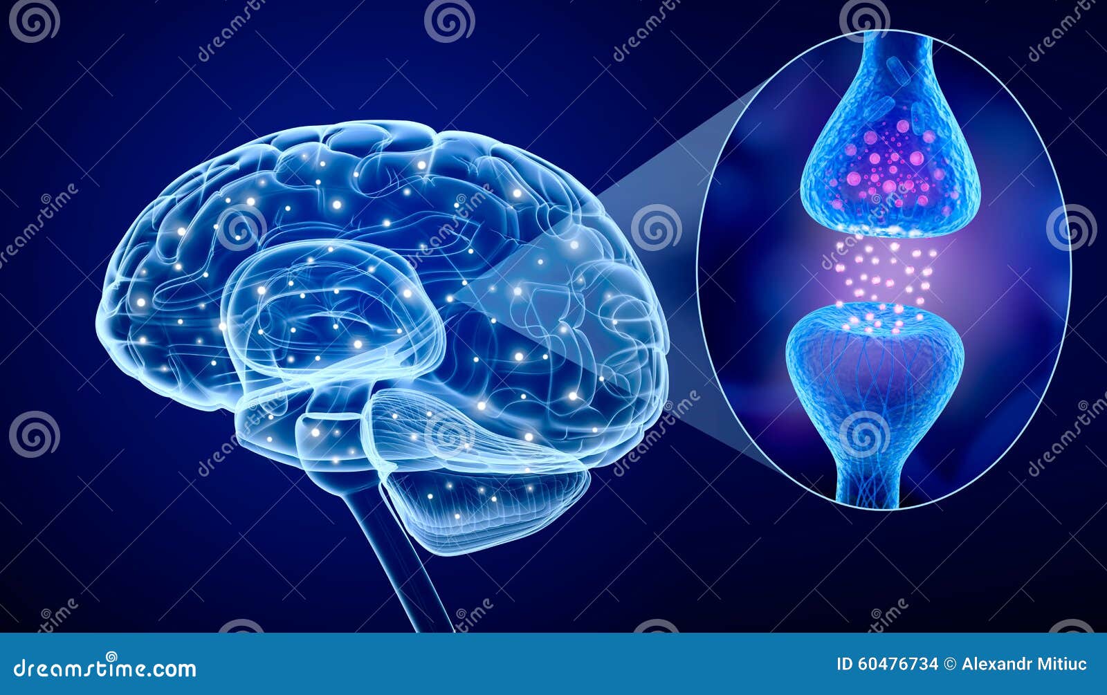 Human Brain and Active Receptor Stock Illustration - Illustration of ...