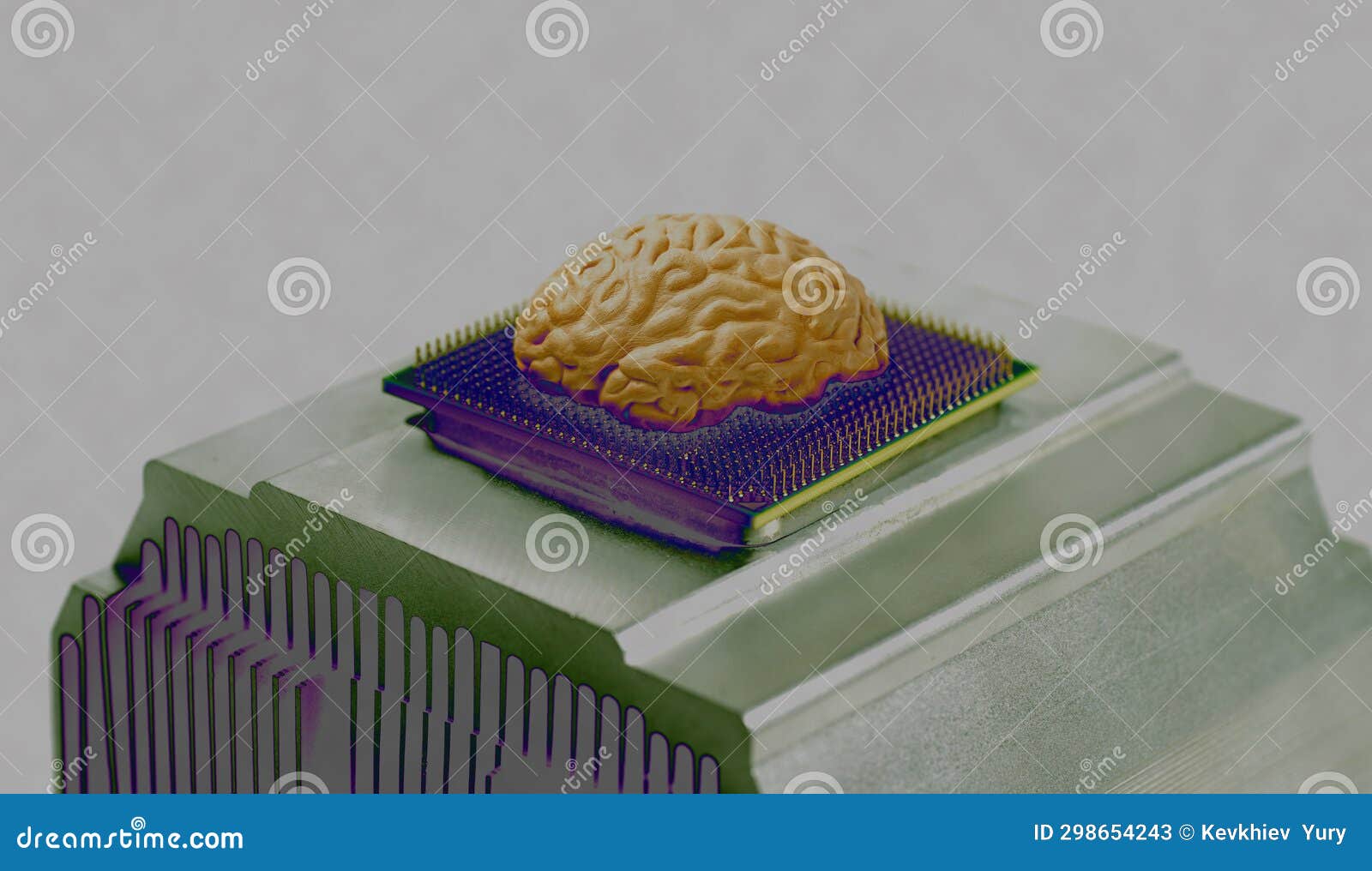 Human Brain Anatomical Model on CPU Processor Microchip Stock Image ...