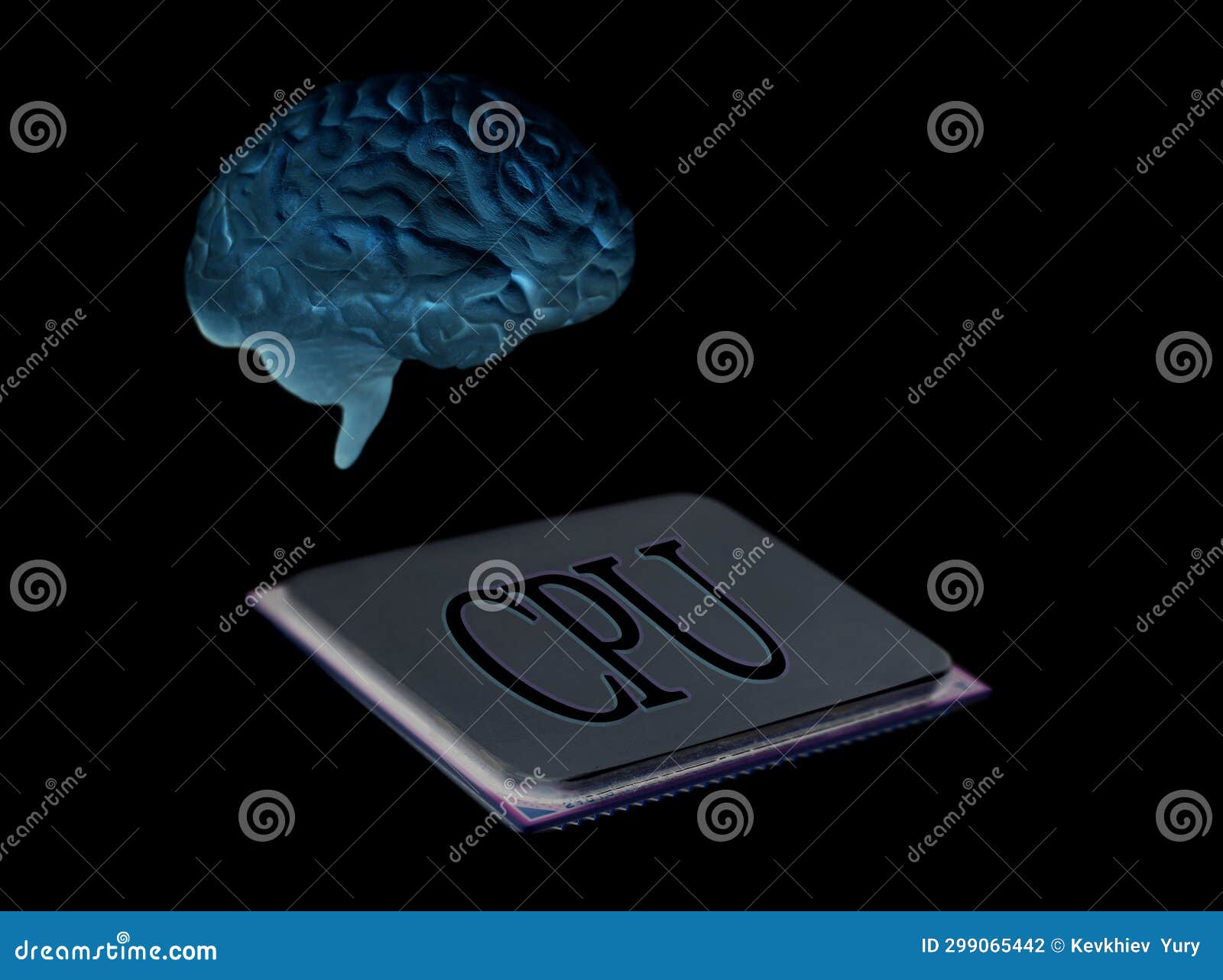 Human Brain Anatomical Model with CPU Processor Microchip Stock Photo ...