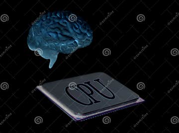 Human Brain Anatomical Model with CPU Processor Microchip Stock Photo ...