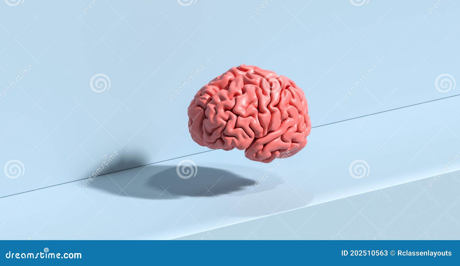 Human Brain Anatomical Model on Ground Stock Illustration ...