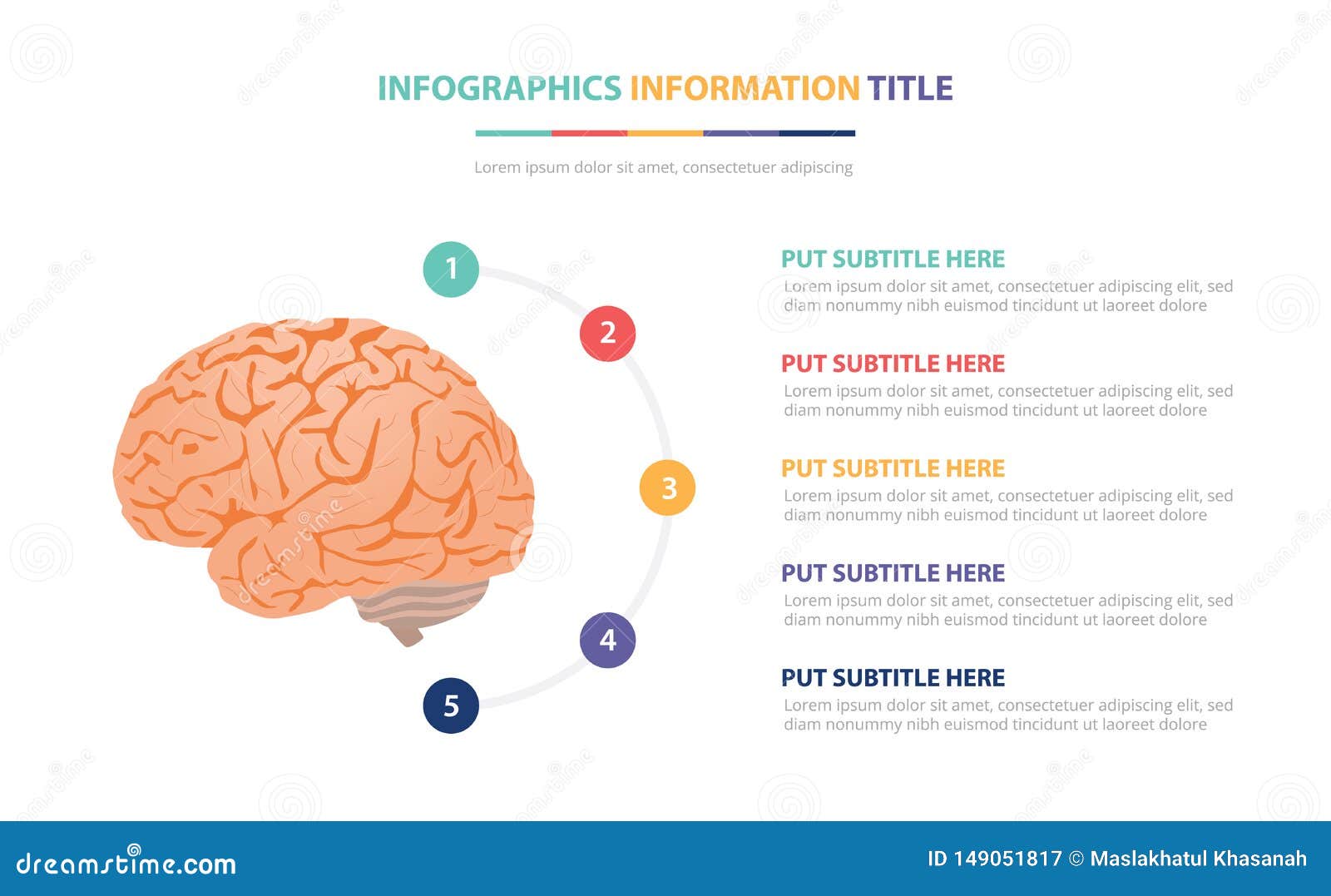 Human Brain Anatomy Infographic Template Concept with Five Points List ...