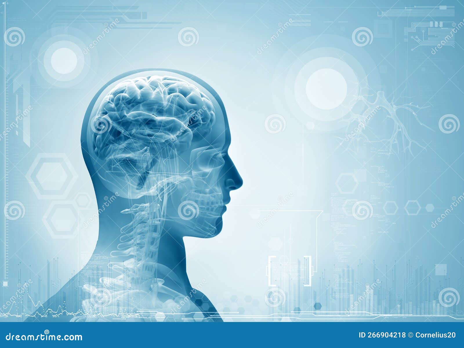 Human Brain Anatomy X-ray, 3d Render Stock Illustration - Illustration ...