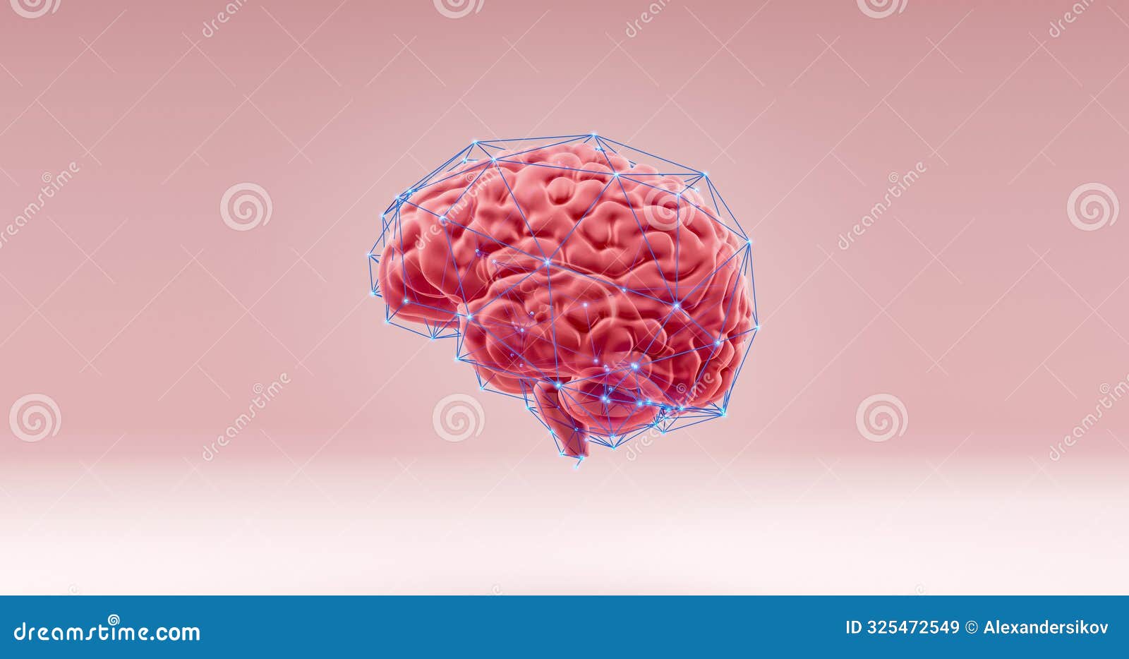 Human Brain Anatomy: Symbol of Medical Science and Knowledge Stock ...