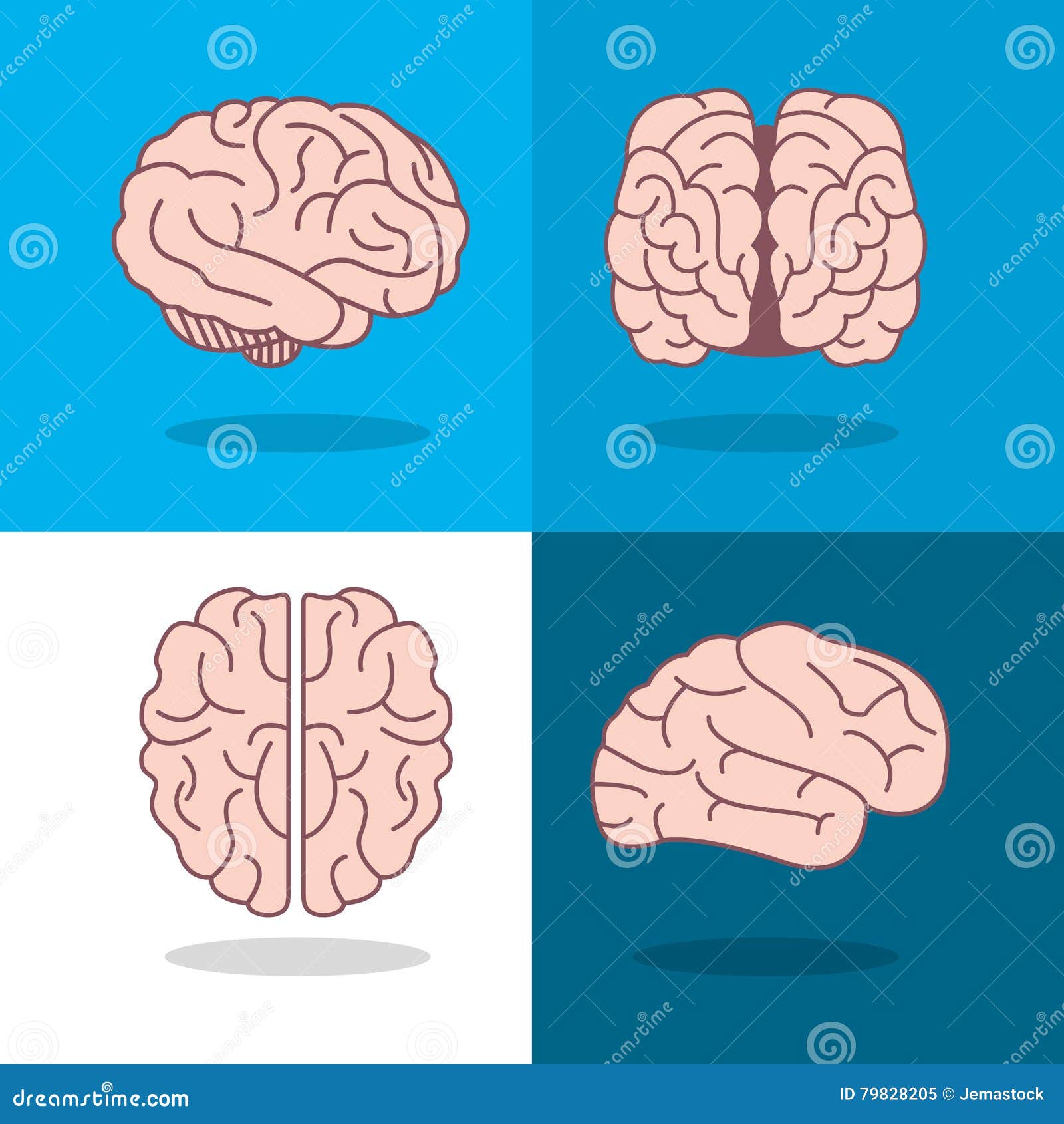 Human Brain and Angles Icon Image Stock Illustration - Illustration of ...