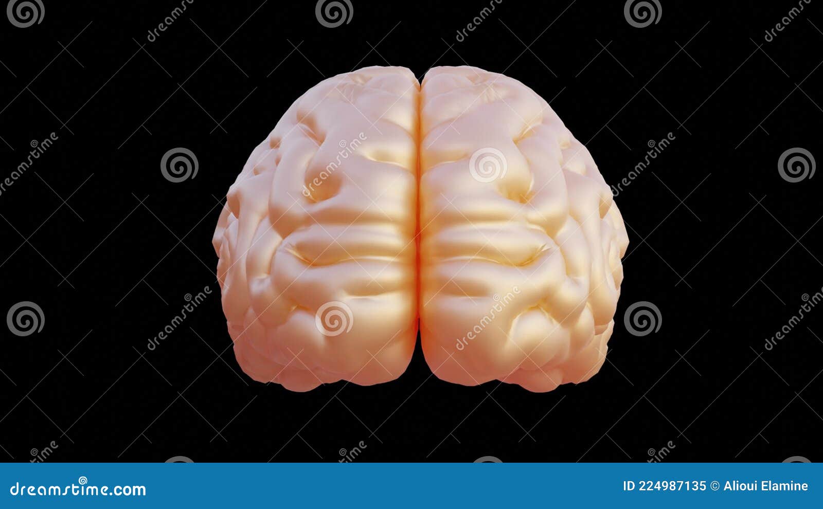 Human Brain Animated Model, Medically Accurate, Stock Video - Video of ...