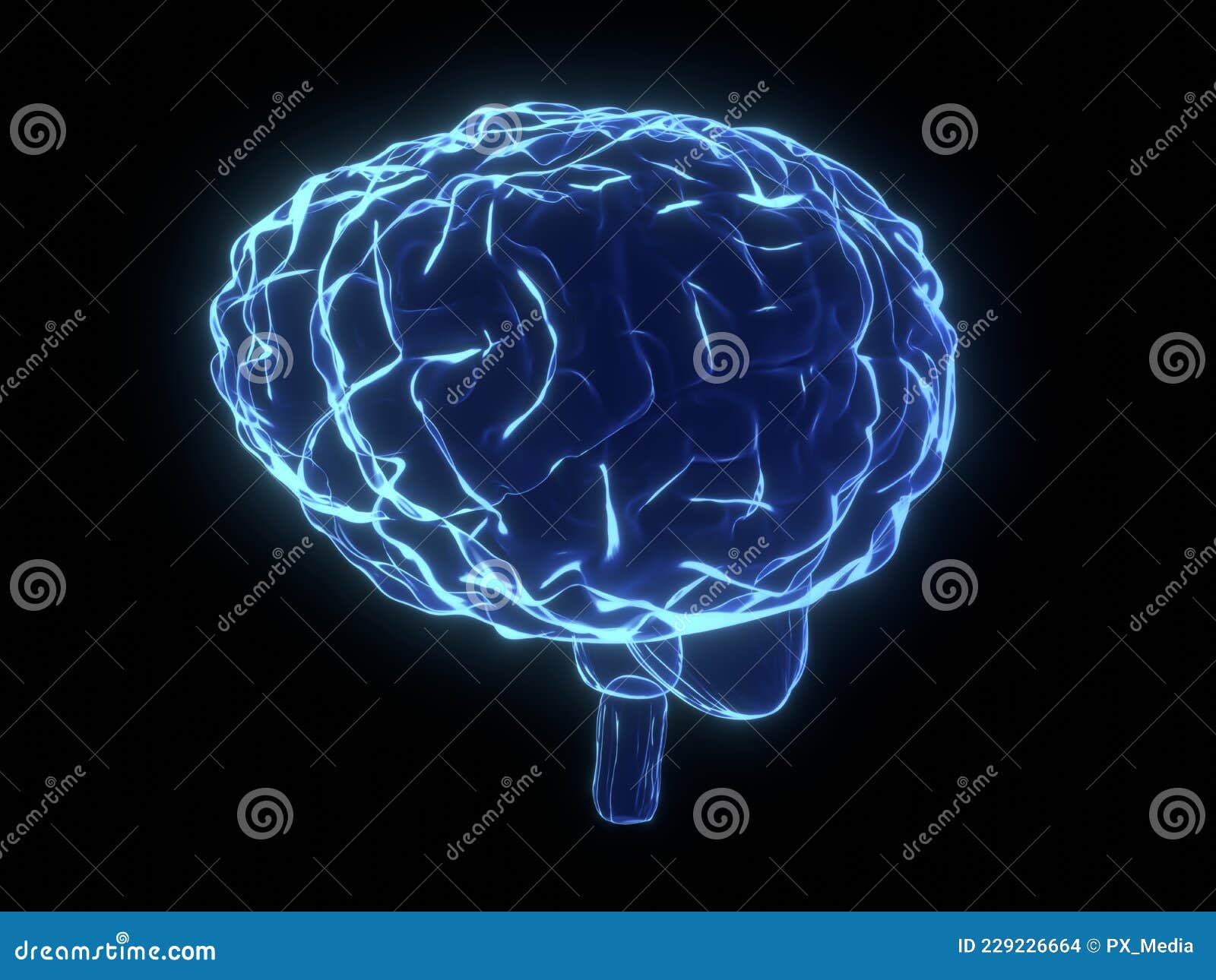 Human Brain As X-ray Illustration - 3D Illustration Stock Illustration ...