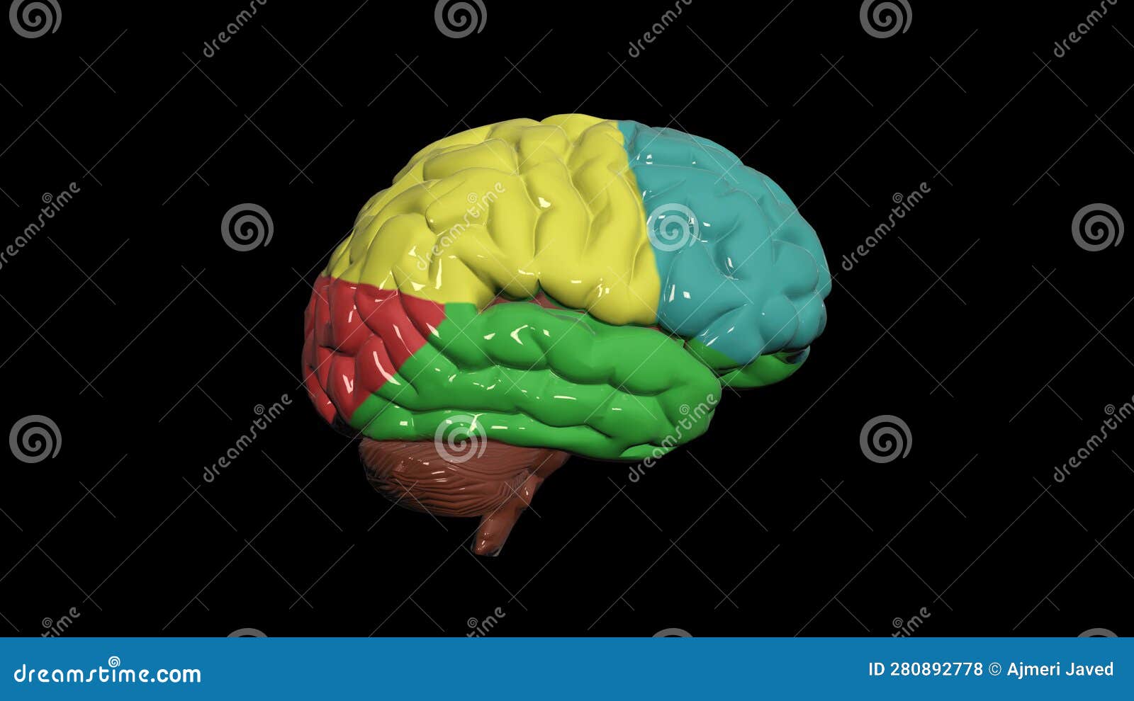 Human Brain on Black Background. 3D Rendering Stock Illustration ...