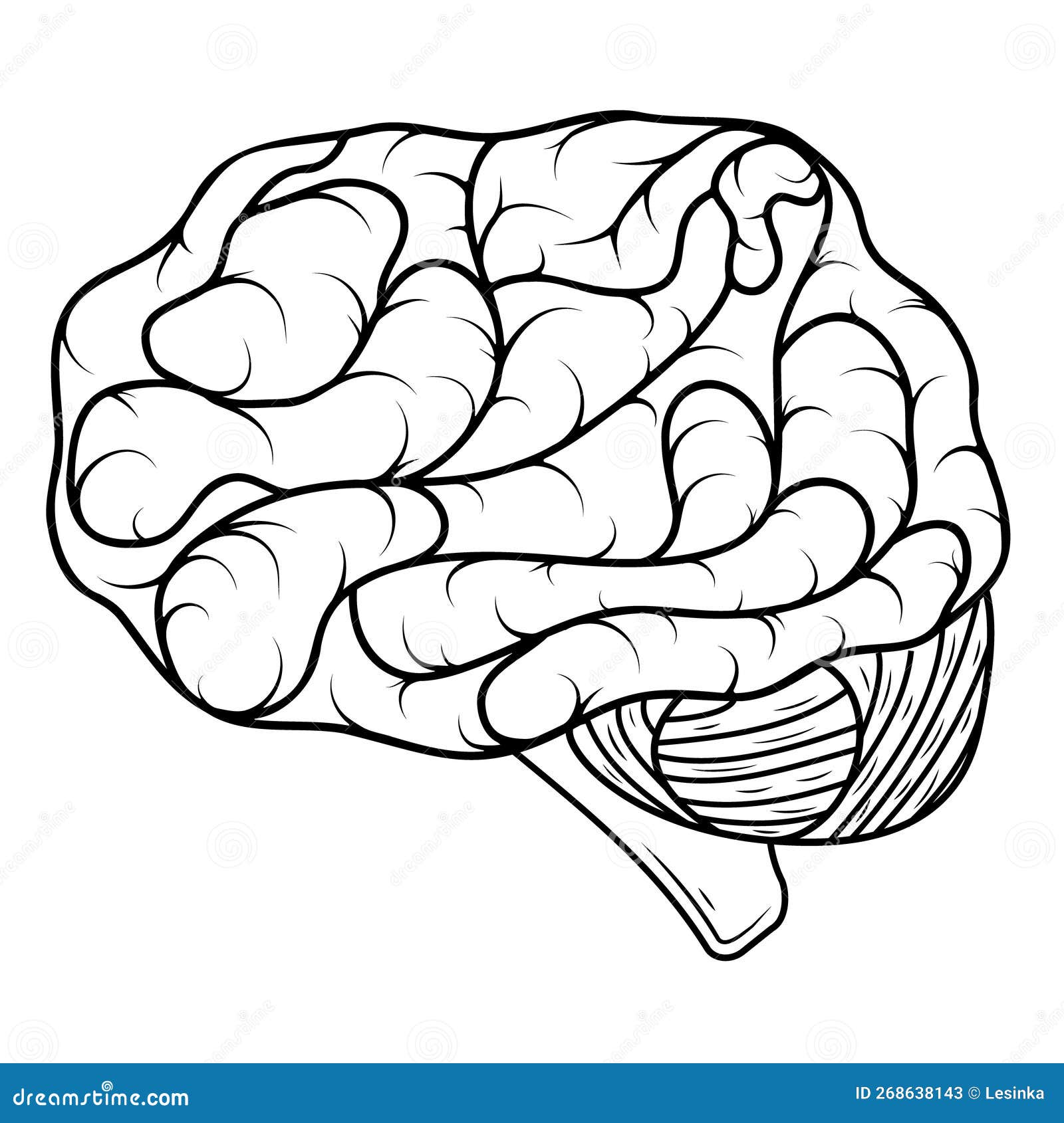 Human Brain, Black Outline, Isolated Vector Illustration in Doodle ...