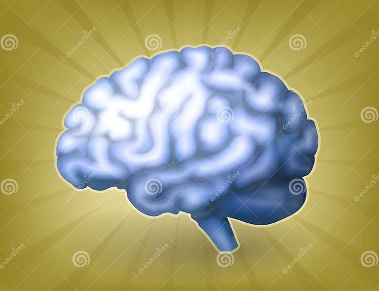 Human brain blue stock vector. Illustration of internal - 20446314