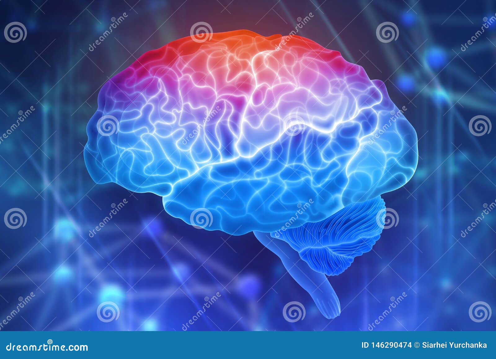 Human Brain on a Blue Background. Active Parts of the Brain Stock ...