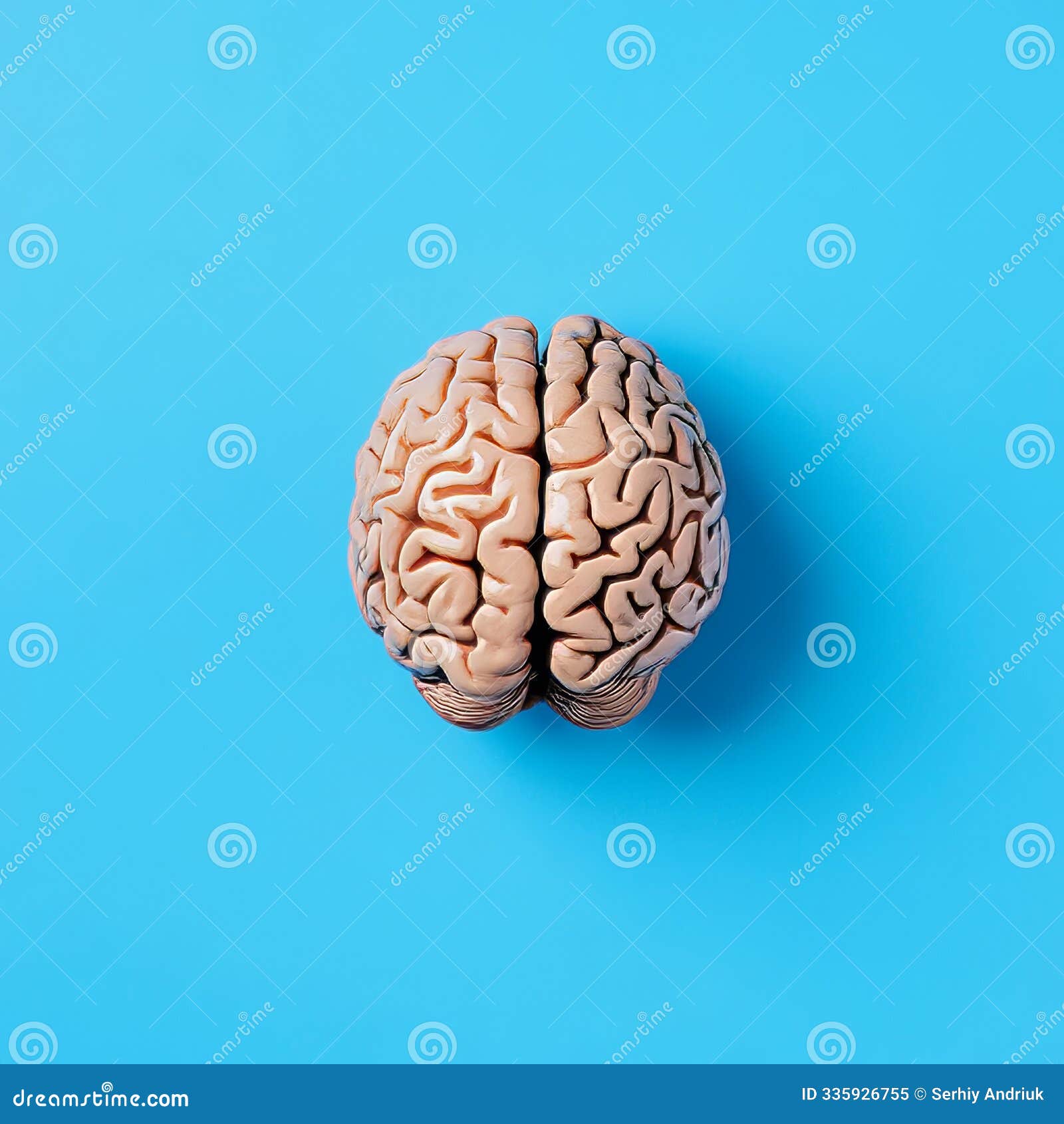 Human Brain on Blue Background. 3d Rendering, 3d Illustration Stock ...