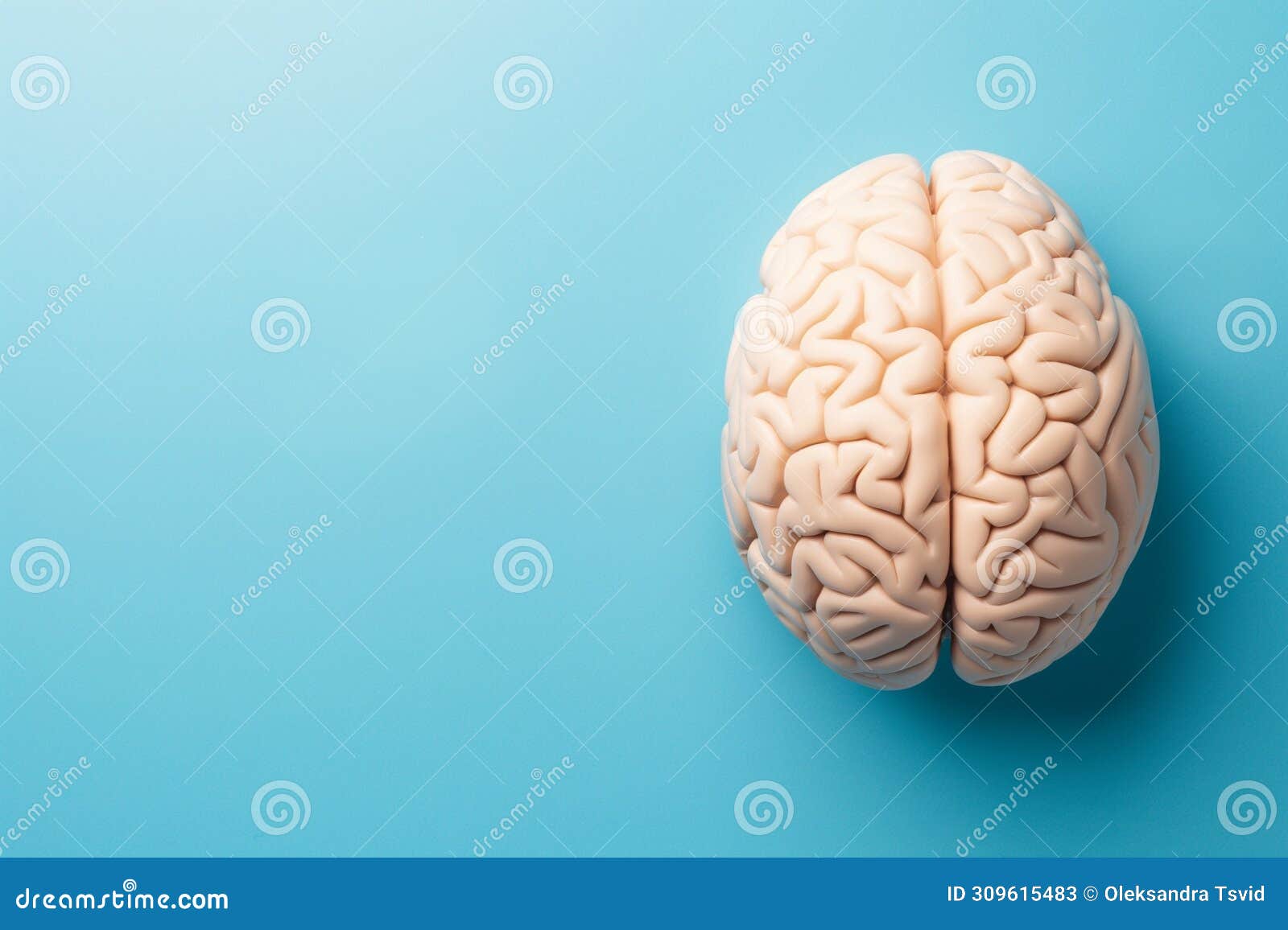 Human Brain on a Blue Background, Medicine Concept, Concept of Human ...