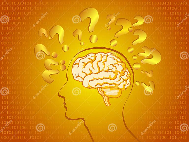 Human Brain in Bright Orange Stock Vector - Illustration of anatomical ...