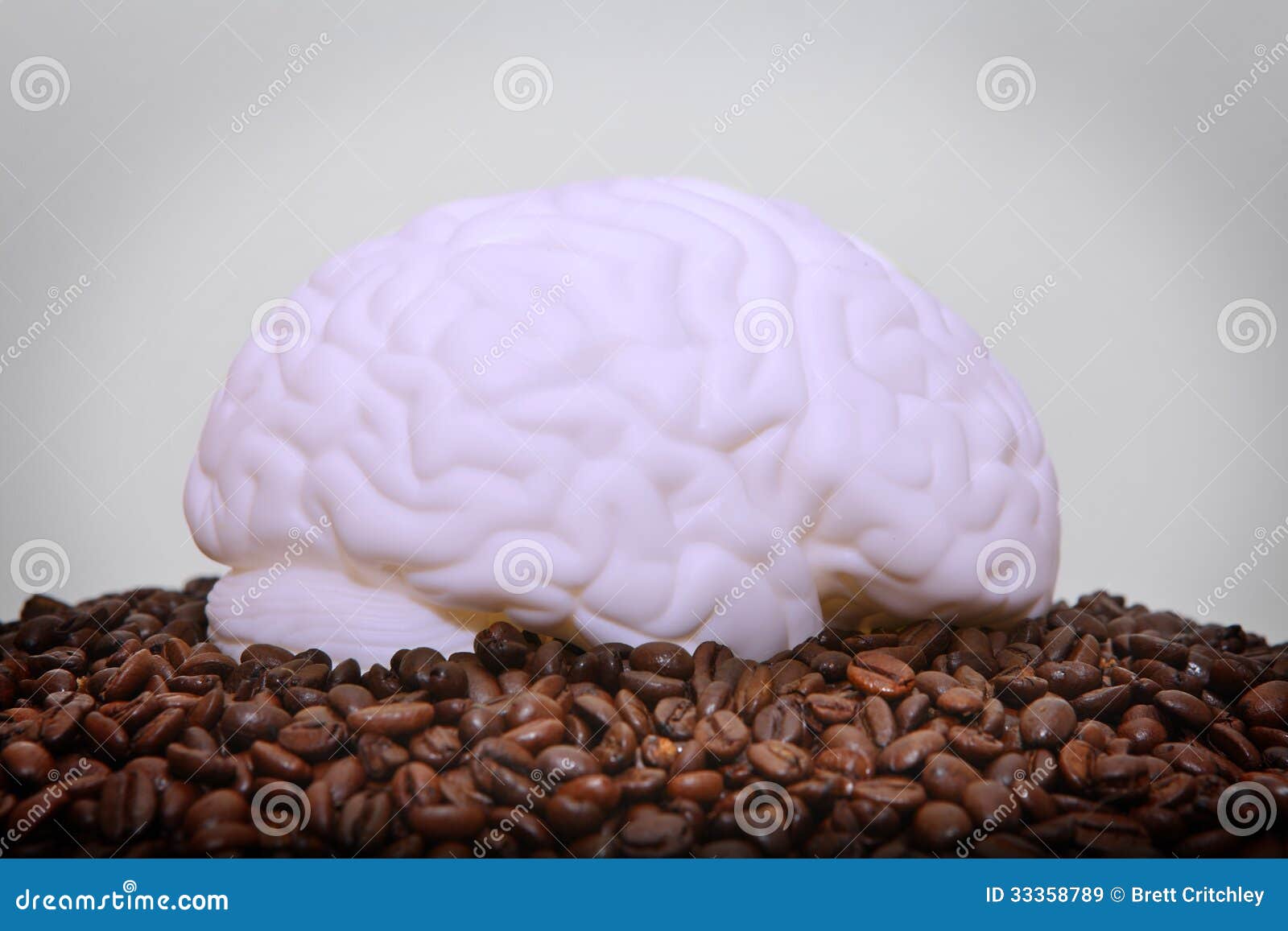 Human Brain Caffeine Addiction Stock Image - Image of drug, coffee ...