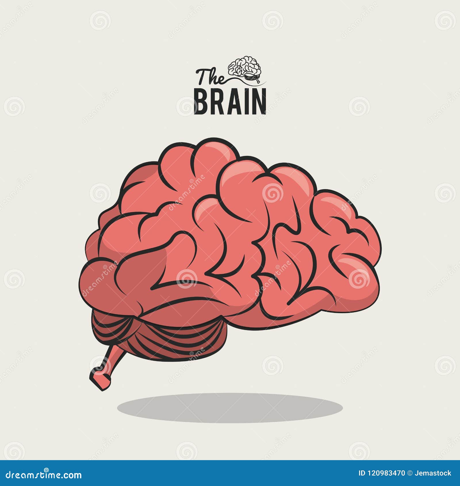 The human brain stock vector. Illustration of creativity - 120983470