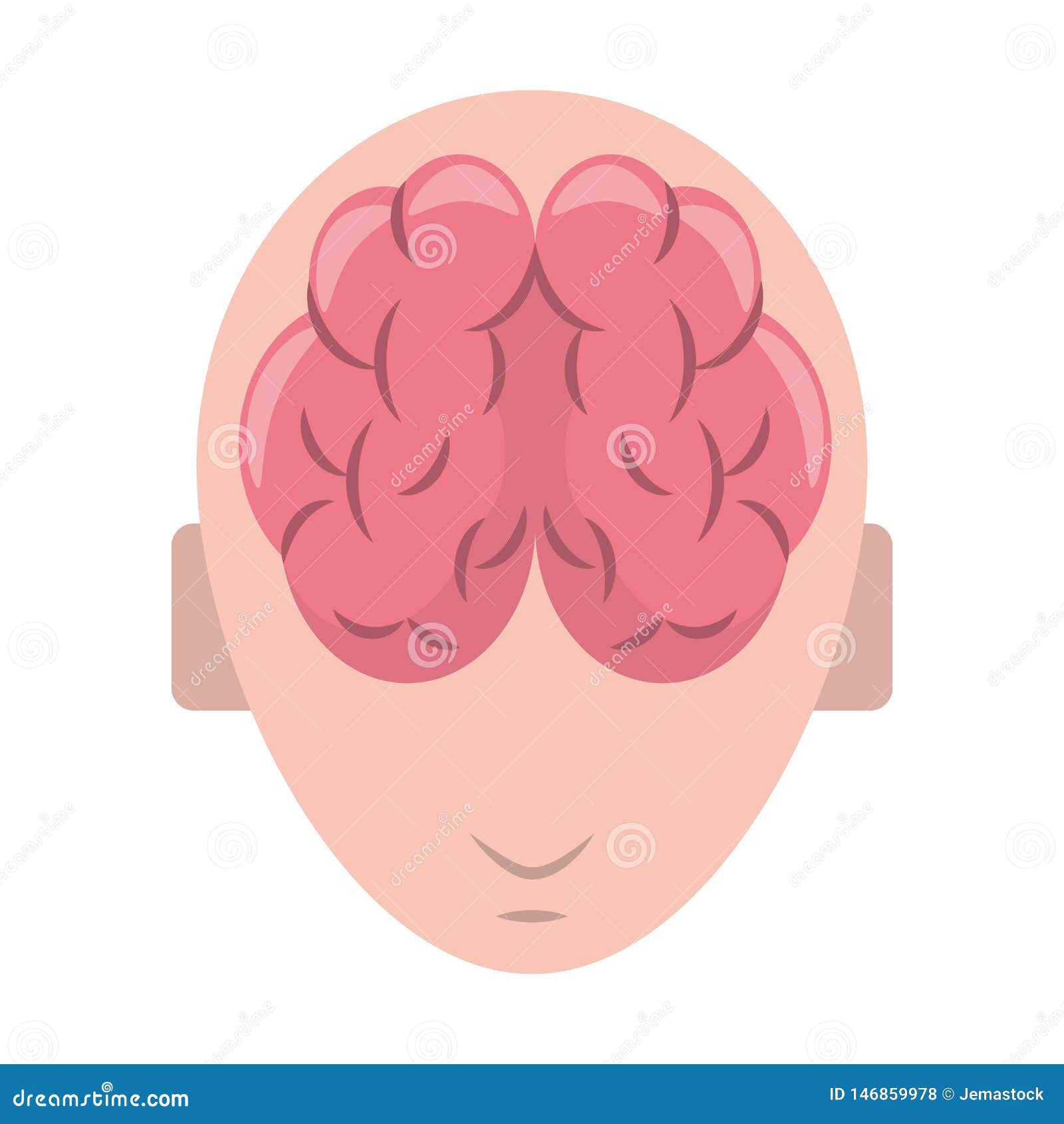 Human brain cartoon stock vector. Illustration of cerebellum - 146859978
