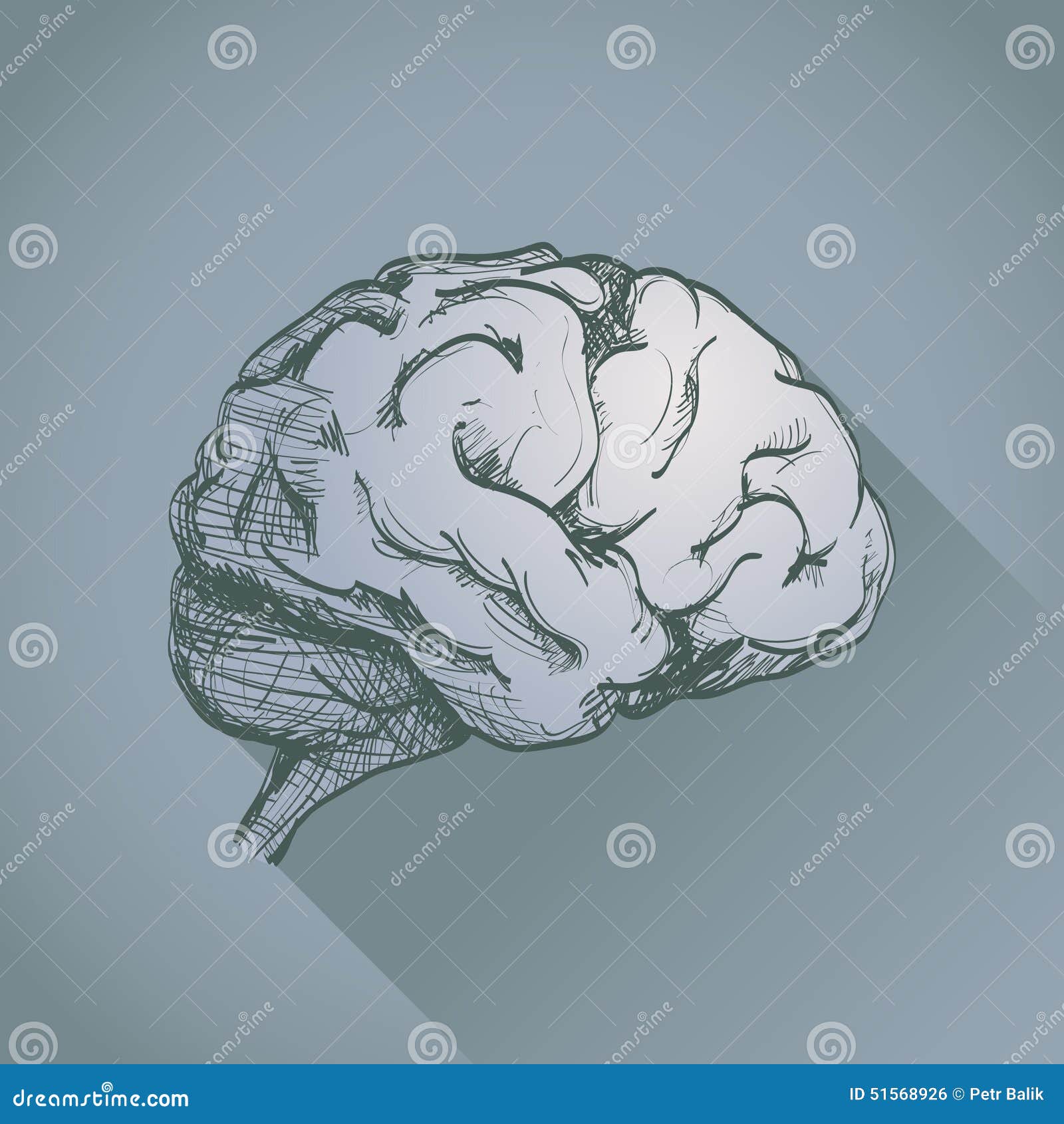 Human Brain Casting Shadow Stock Illustrations – 2 Human Brain Casting ...
