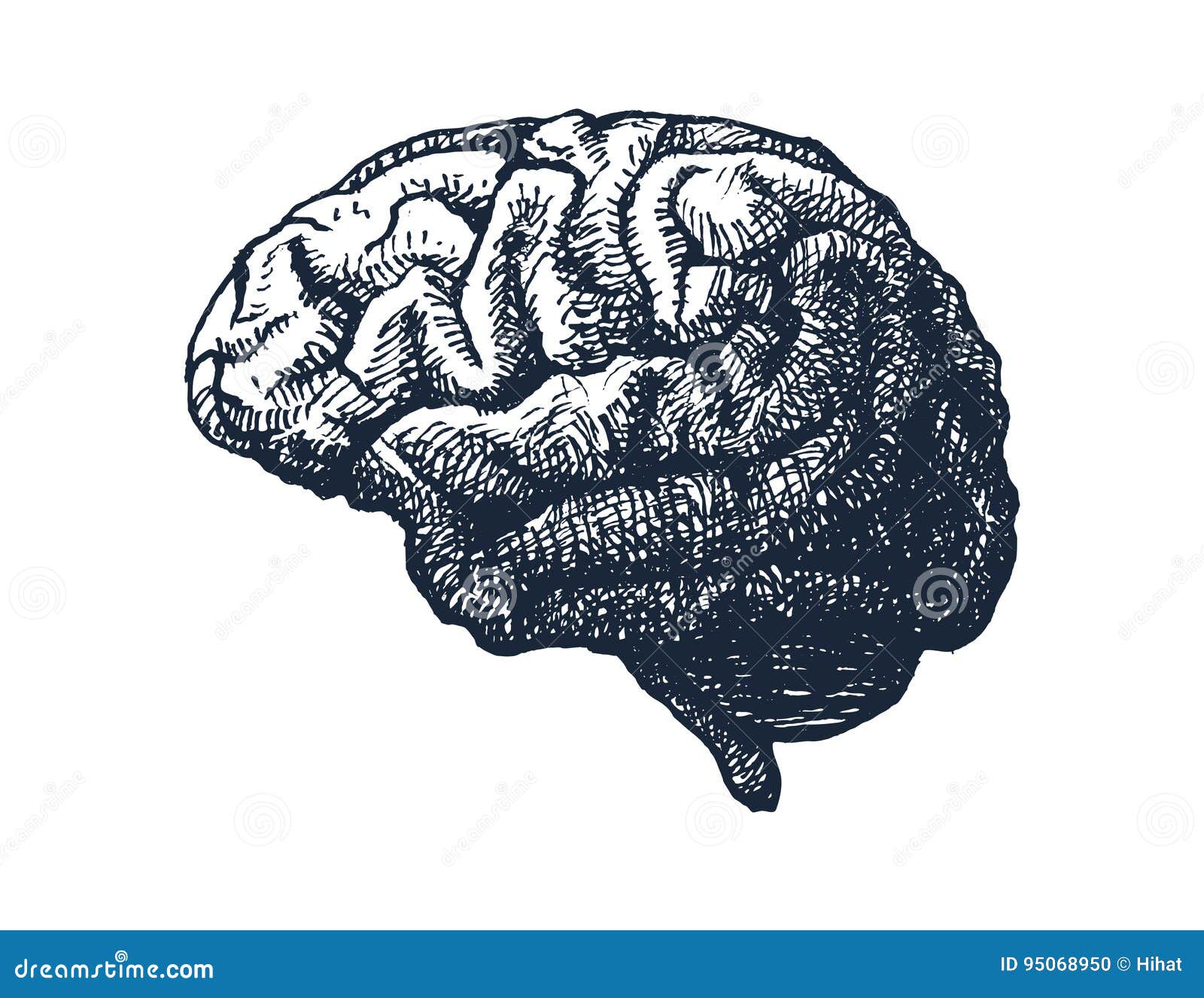Human brain casting shadow stock vector. Illustration of drawing - 95068950