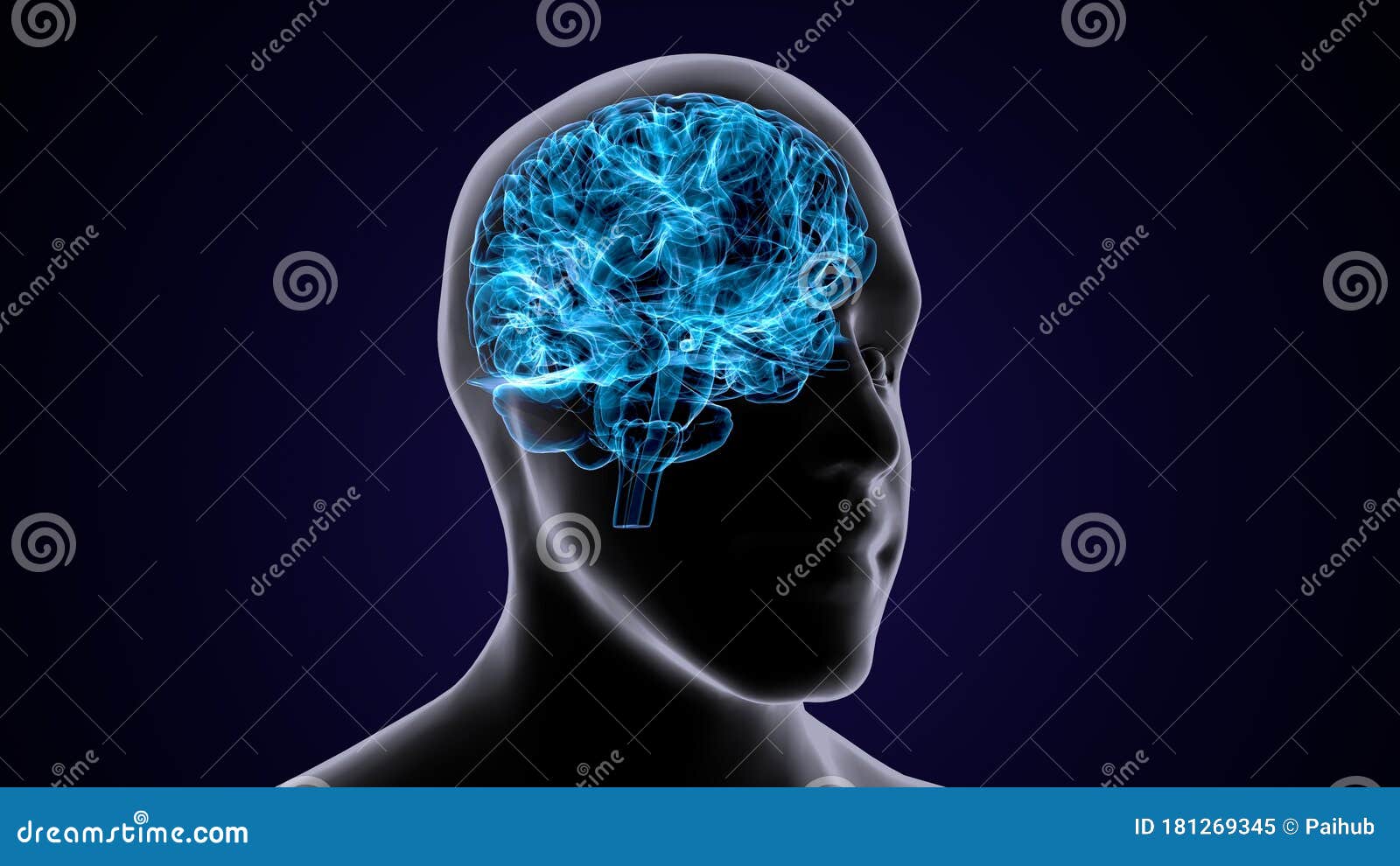 3d Render of Brain Anatomy System Stock Illustration - Illustration of ...