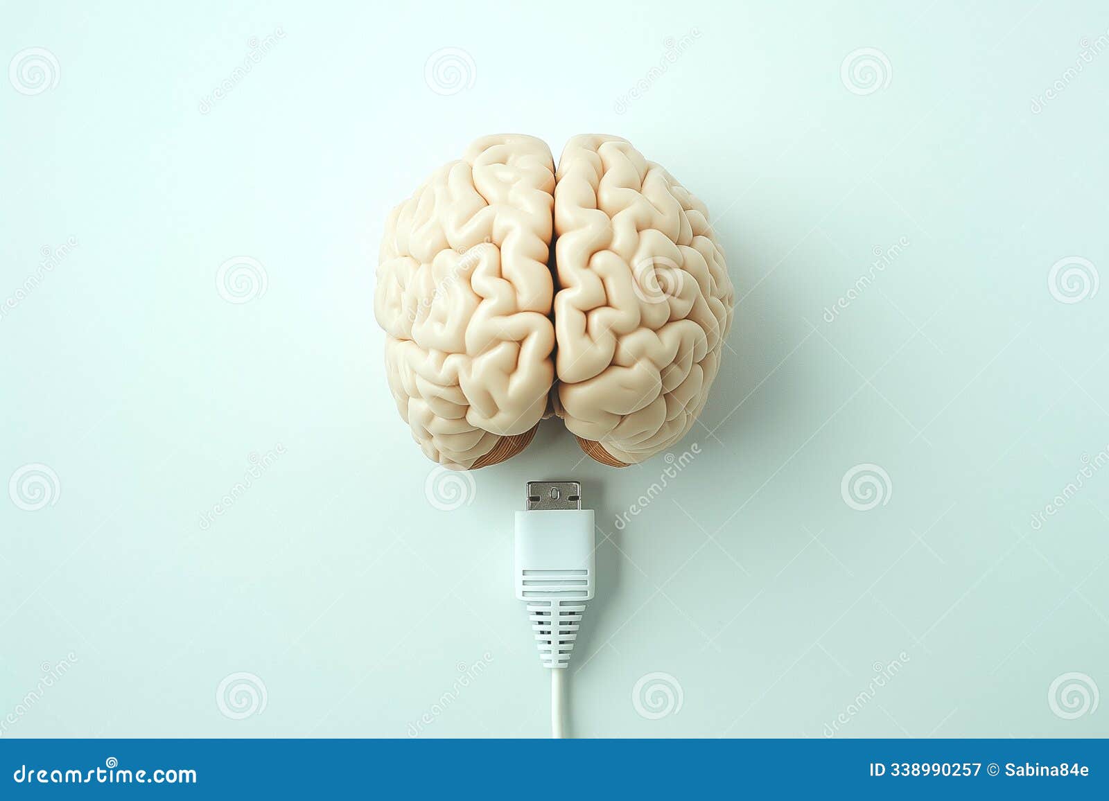 Human Brain with Charging Wire, Brain Charging Stock Illustration ...