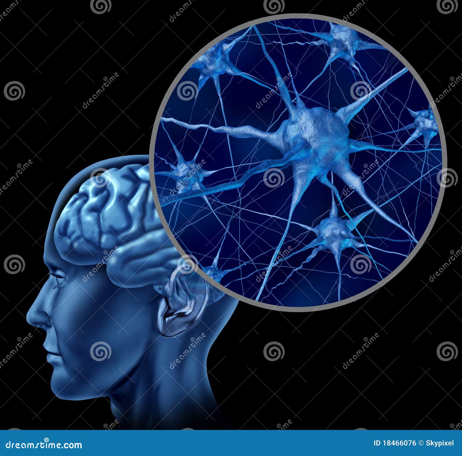 Human Brain with Close Up of Active Neurons Stock Photo - Image of ...