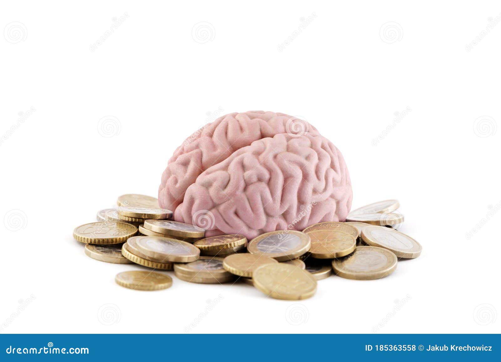 Human Brain with Coins on White Stock Photo - Image of costs, earn ...