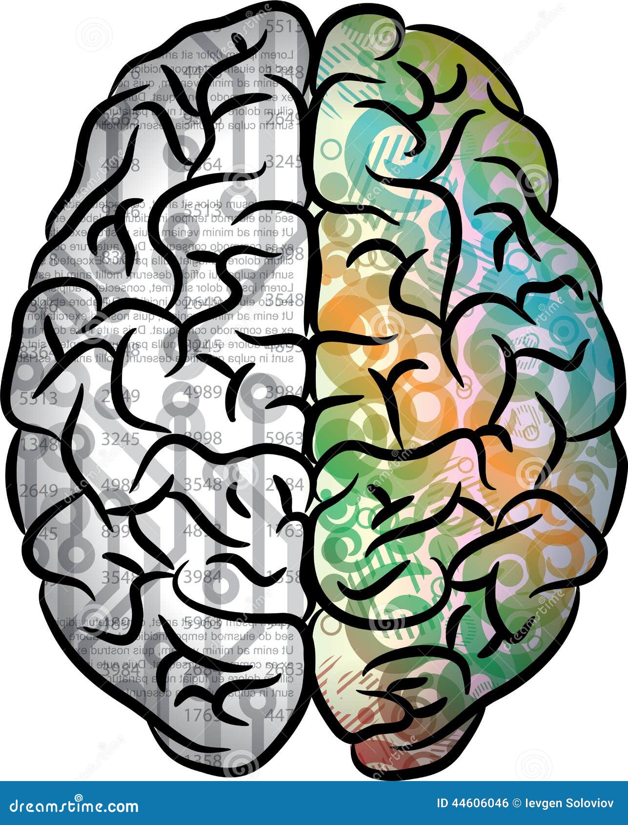 Human brain color stock vector. Illustration of black - 44606046