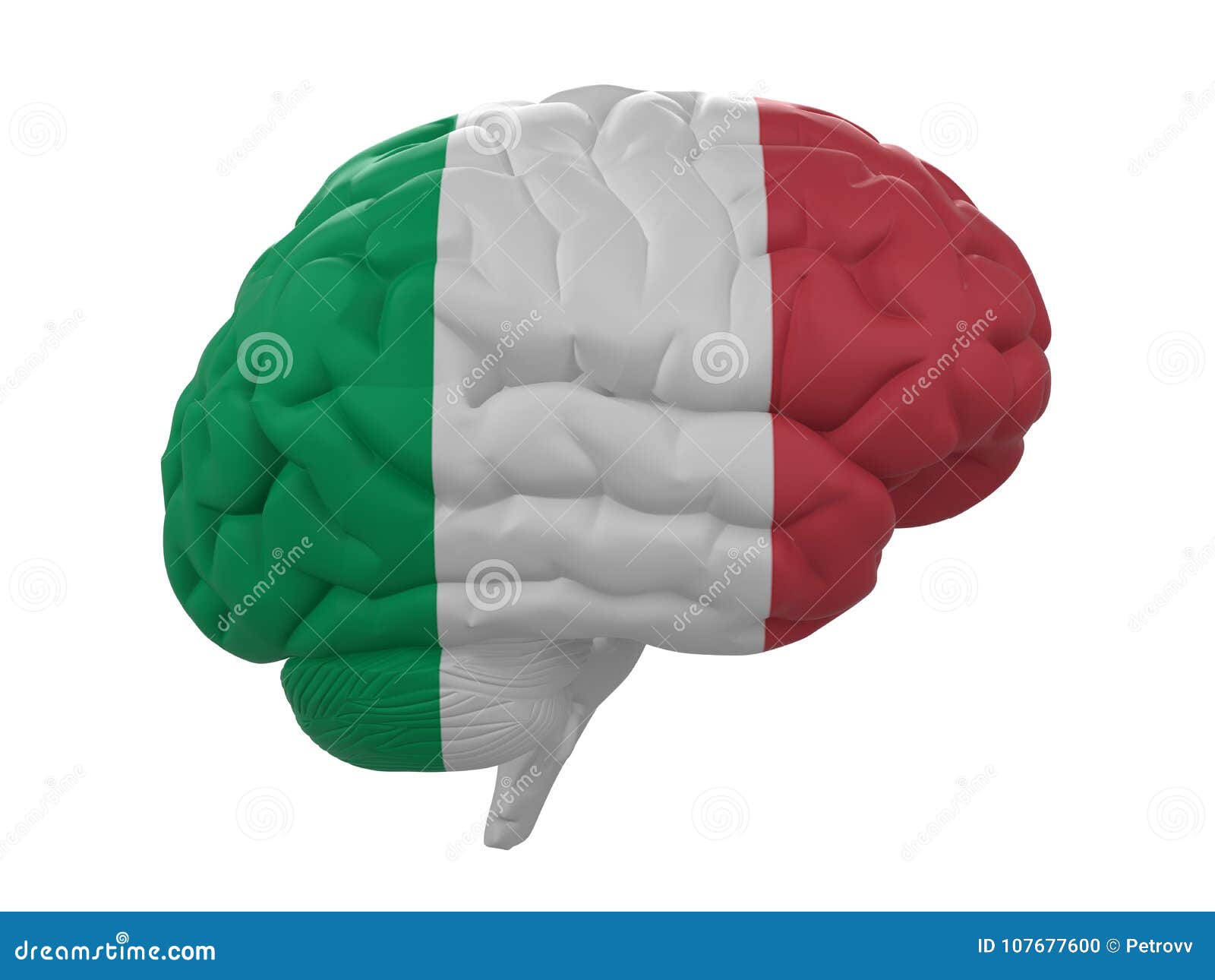 Human Brain is Colored Flag of Italy Stock Illustration - Illustration ...