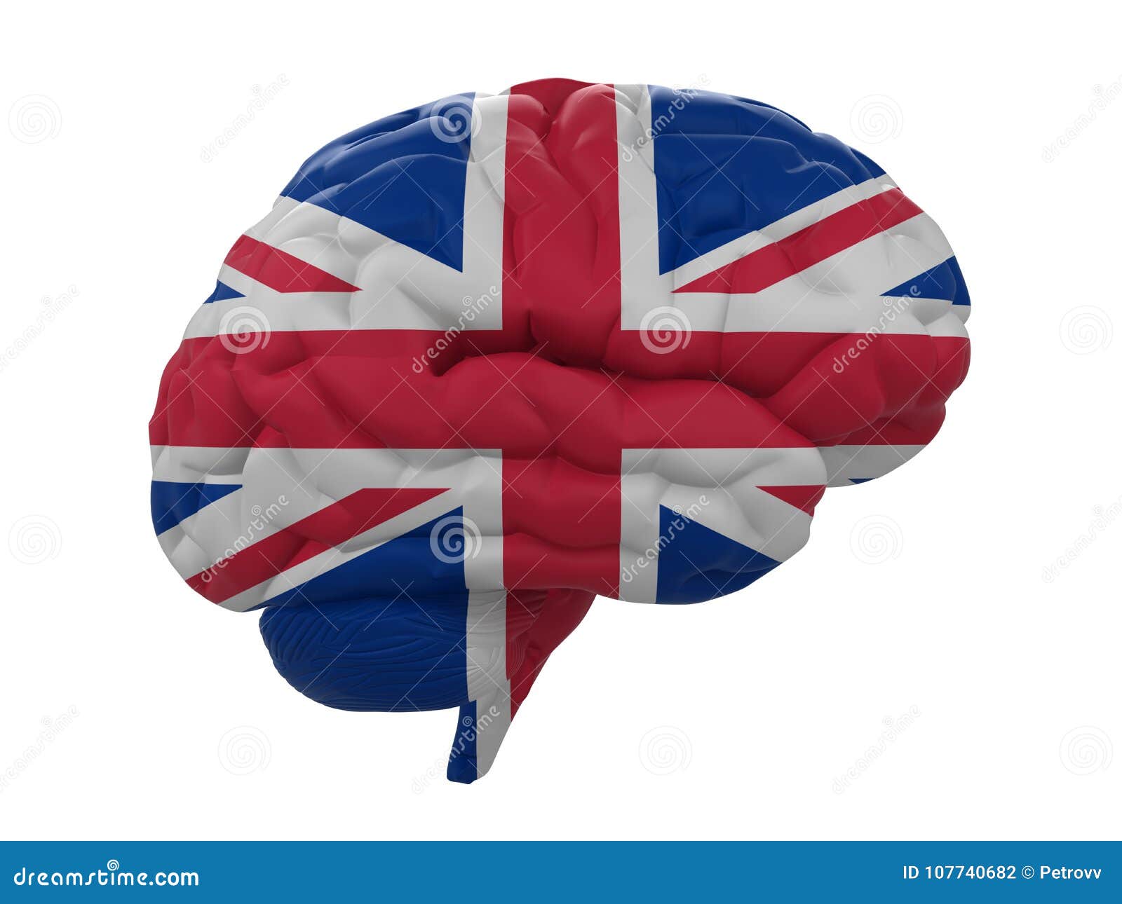Human Brain is Colored Flag of United Kingdom Stock Illustration ...