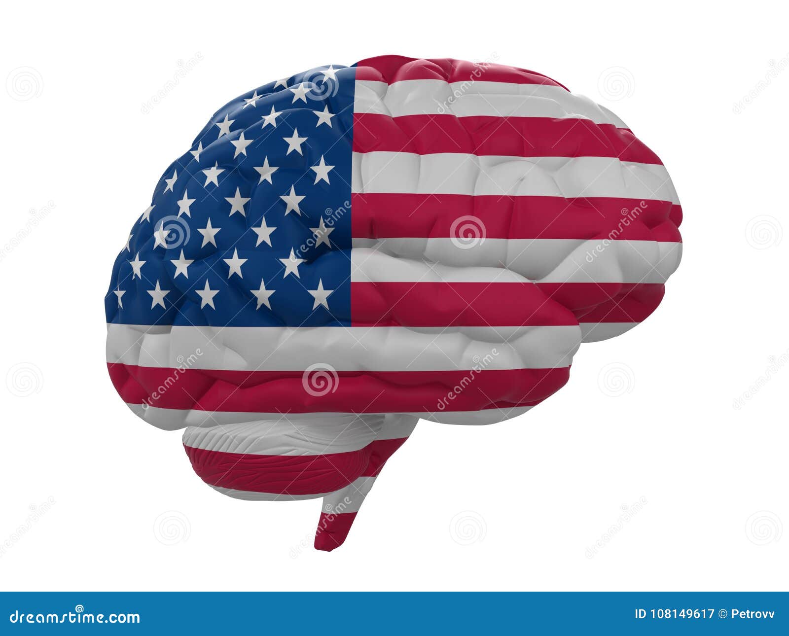 Human Brain is Colored Flag of USA Stock Illustration - Illustration of ...