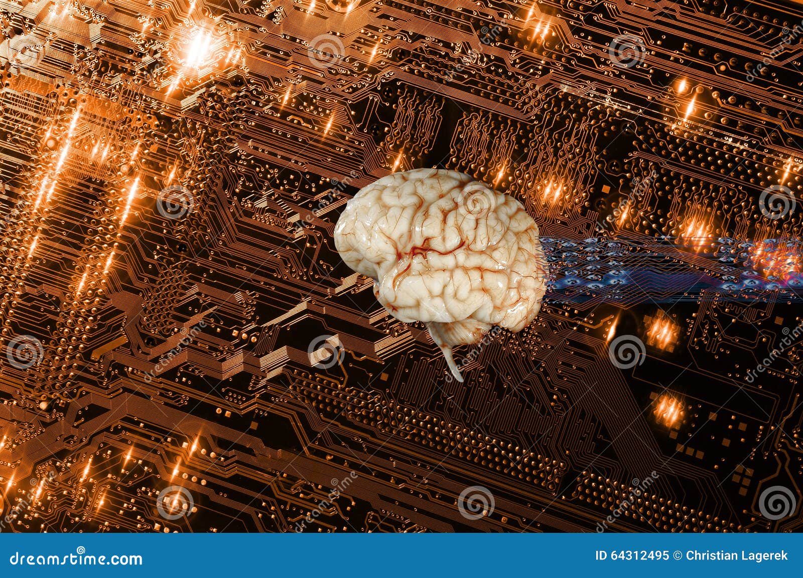 Human Brain and Communication Stock Image - Image of engineering ...