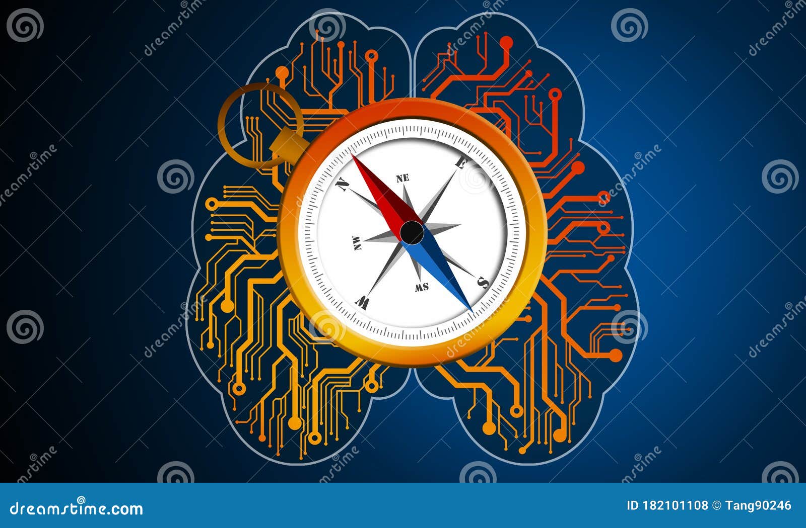 Human Brain and Compass in Blue Background Stock Illustration ...