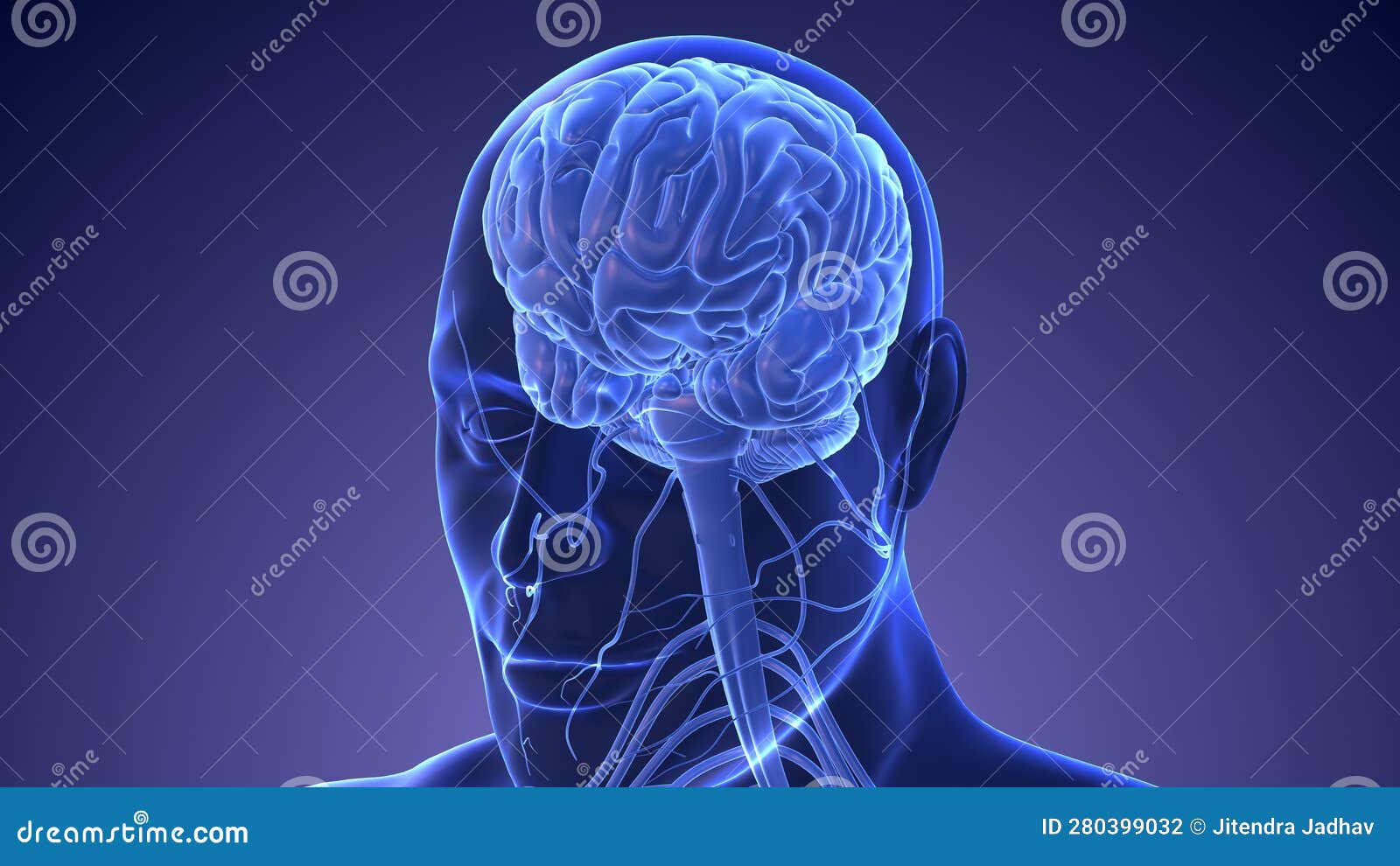 Neurology, Neuroscience, Electroencephalography Concept. Neurologist ...