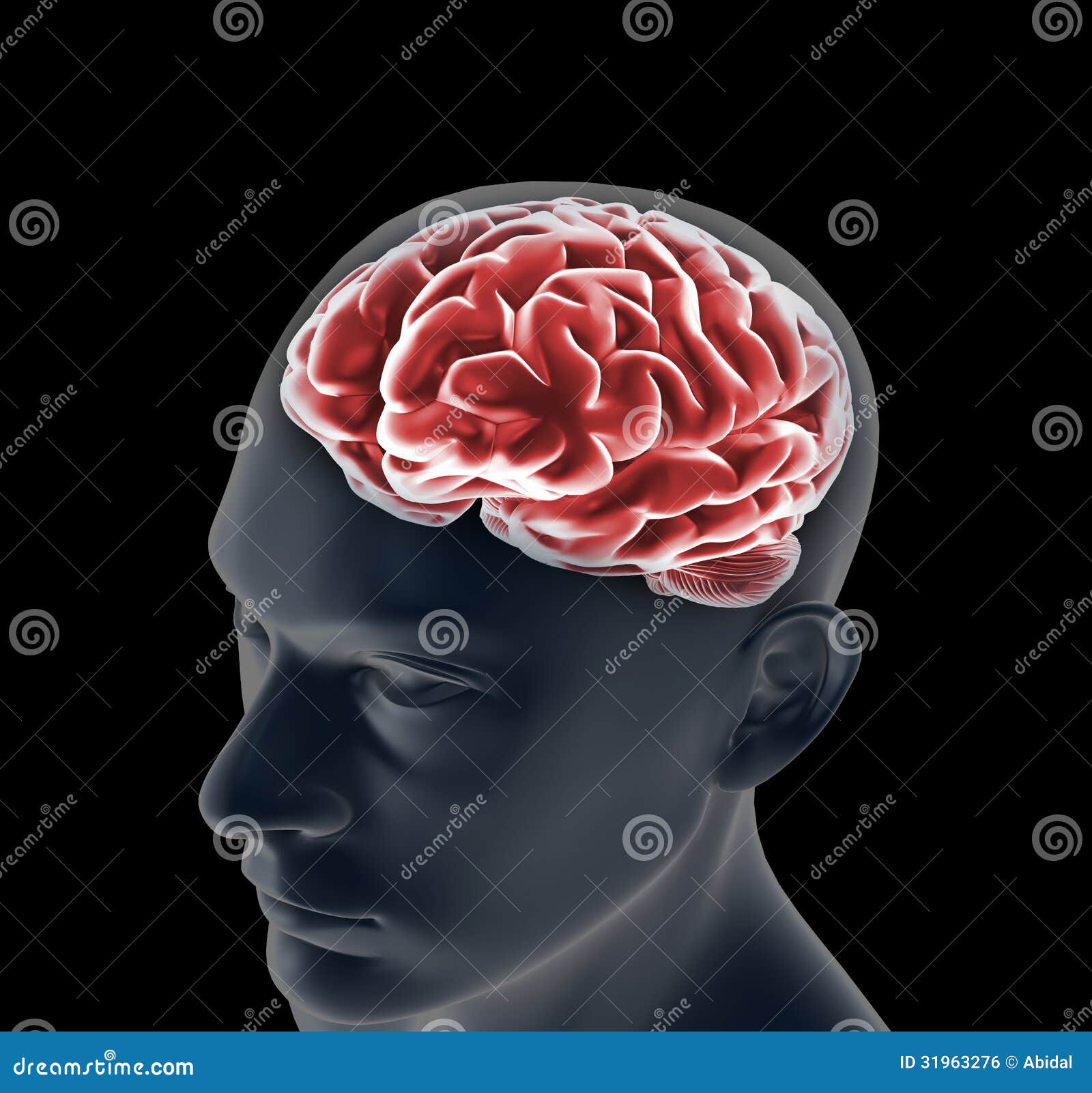 Human brain stock illustration. Illustration of mind - 31963276